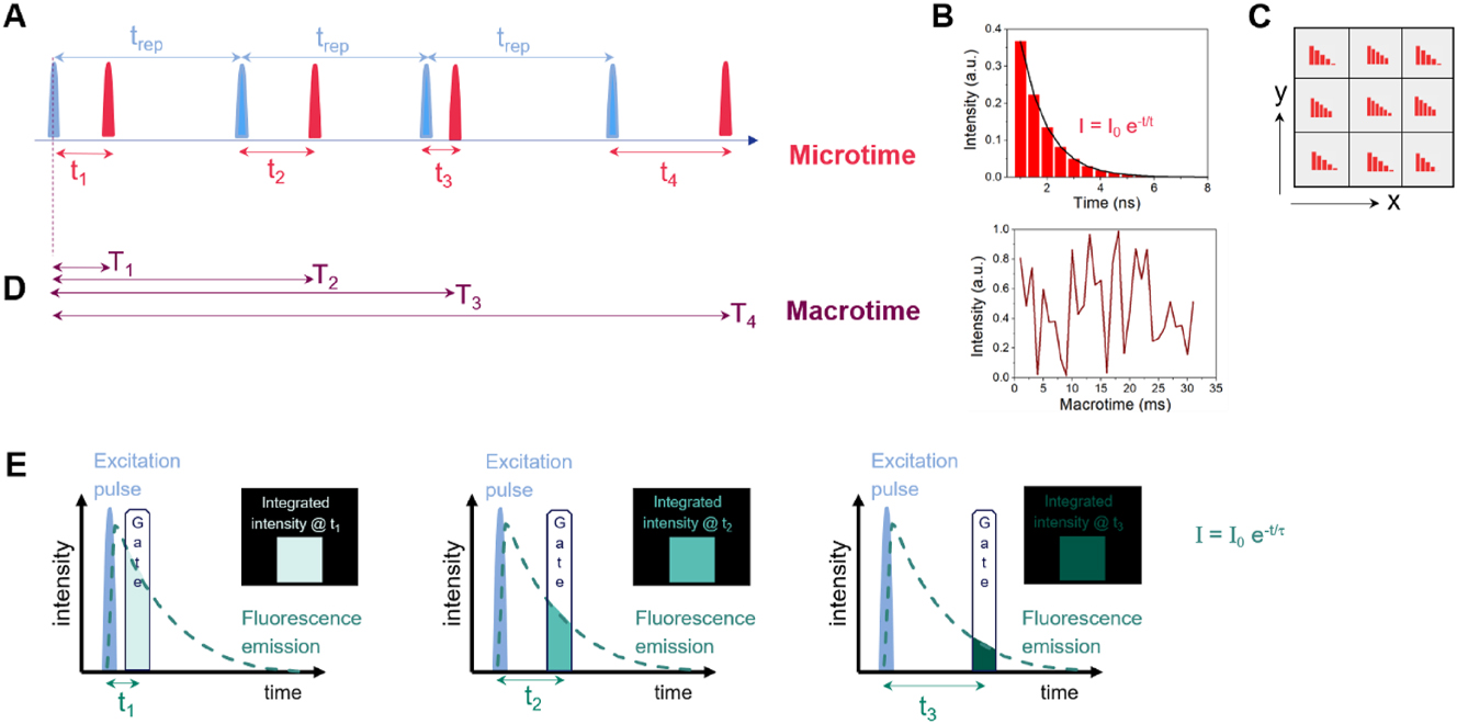 Calibration approaches for fluorescence lifetime applications using ...