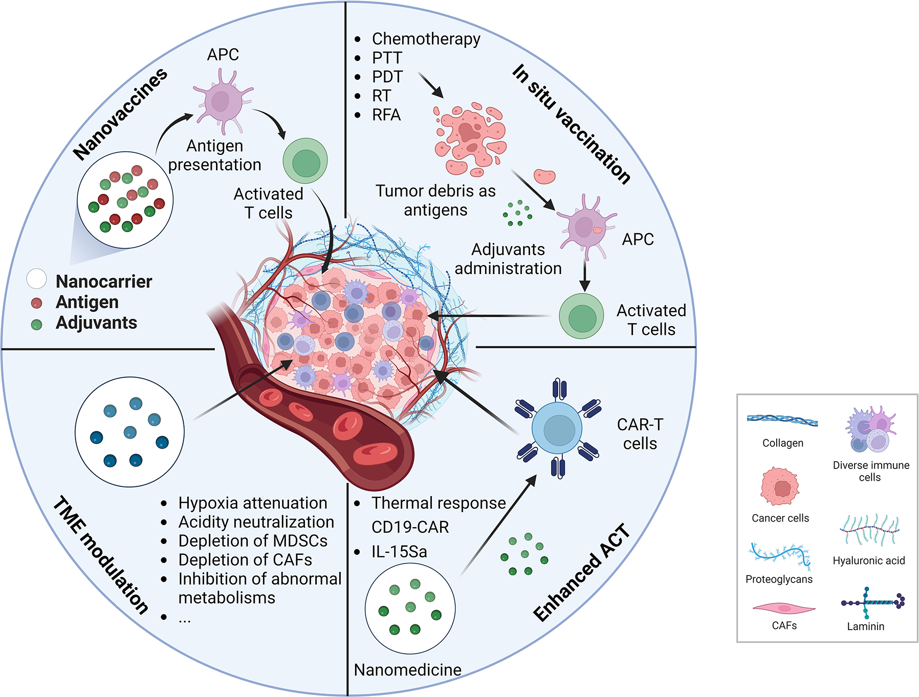 Nanomedicine sheds new light on cancer immunotherapy