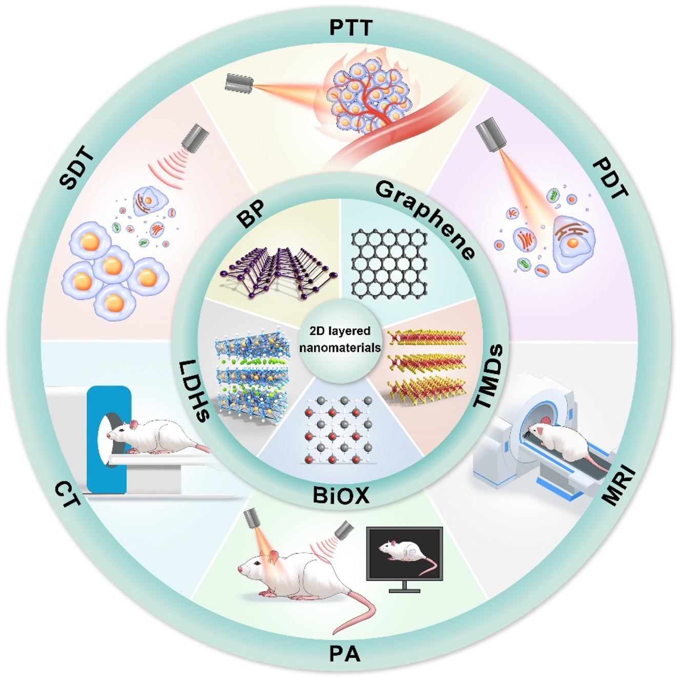Two-dimensional layered nanomaterials for tumor diagnosis and treatment