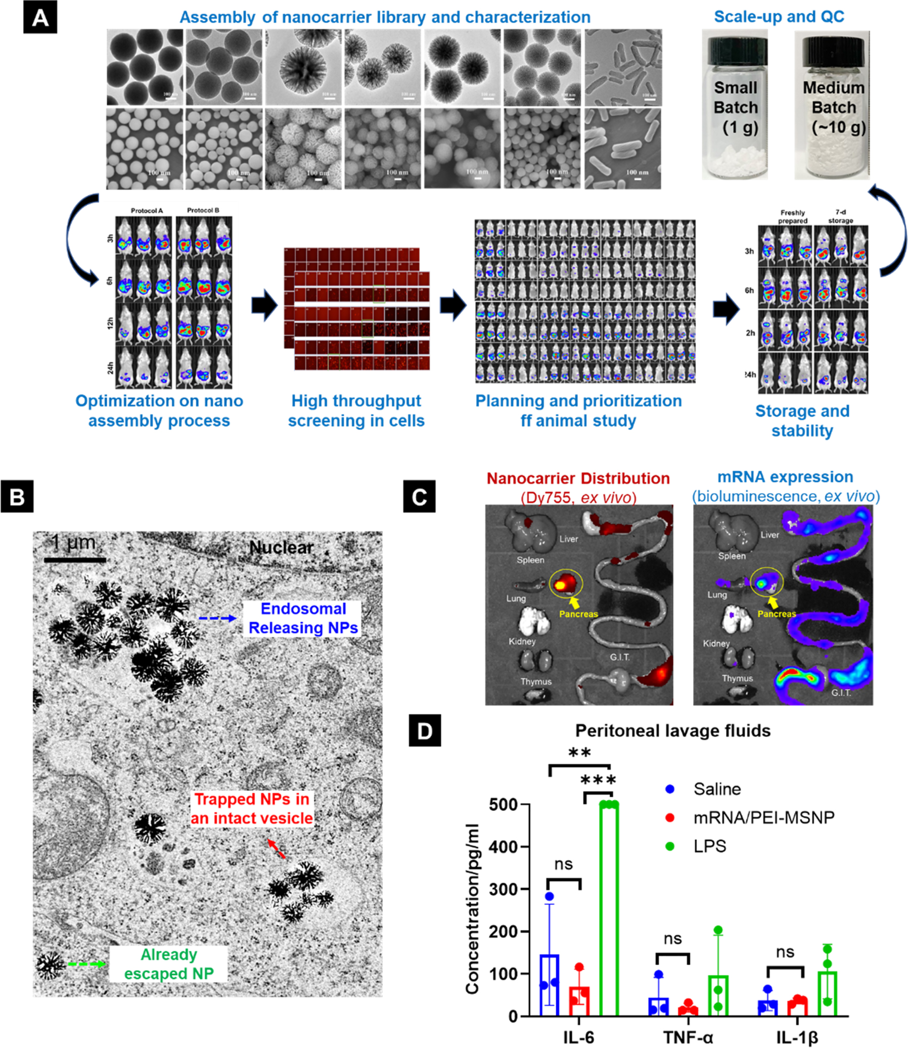 Enrichment of nano delivery platforms for mRNA-based nanotherapeutics