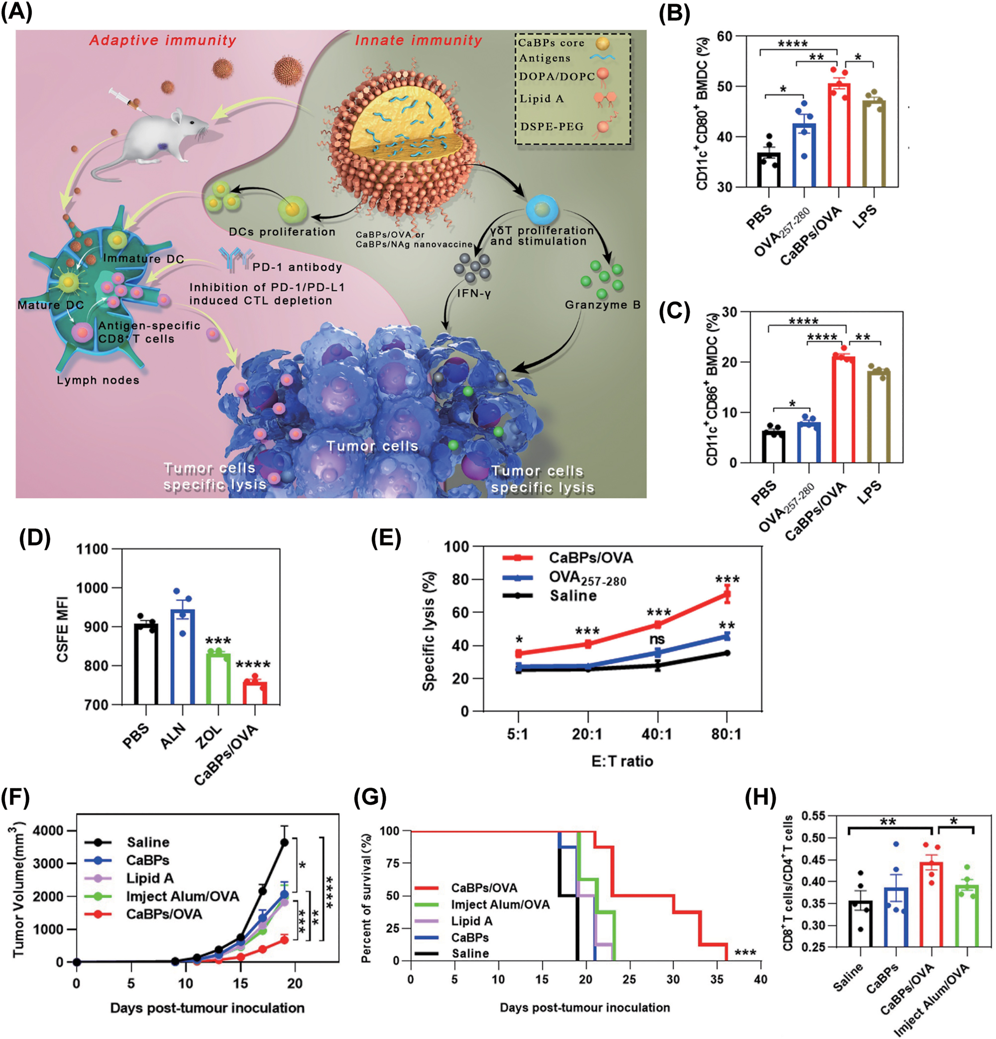 Lipid-based nanoparticles for cancer immunotherapy