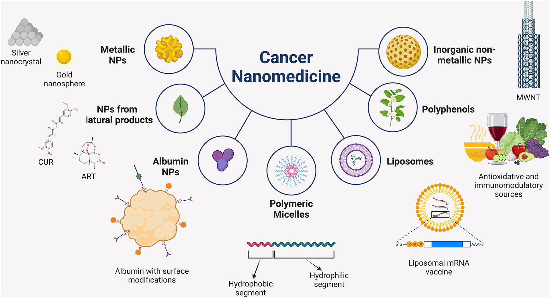 Nanotechnology-based delivery systems to overcome drug resistance in cancer
