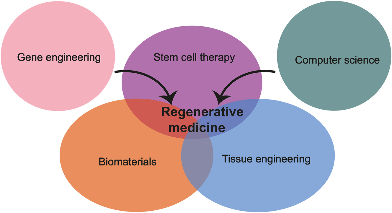 Regenerative rehabilitation: a novel multidisciplinary field to ...