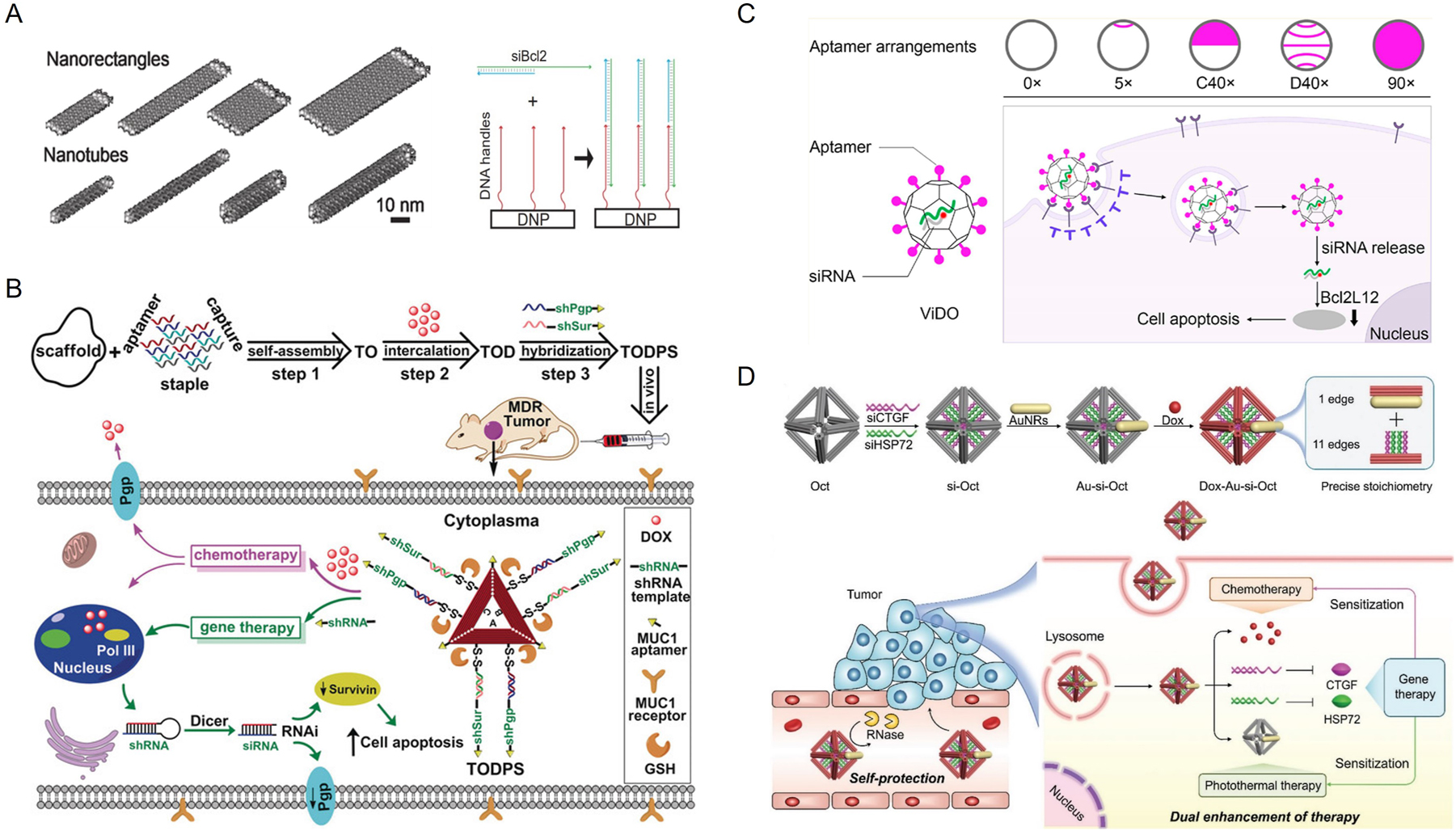 DNA-based nanostructures for RNA delivery