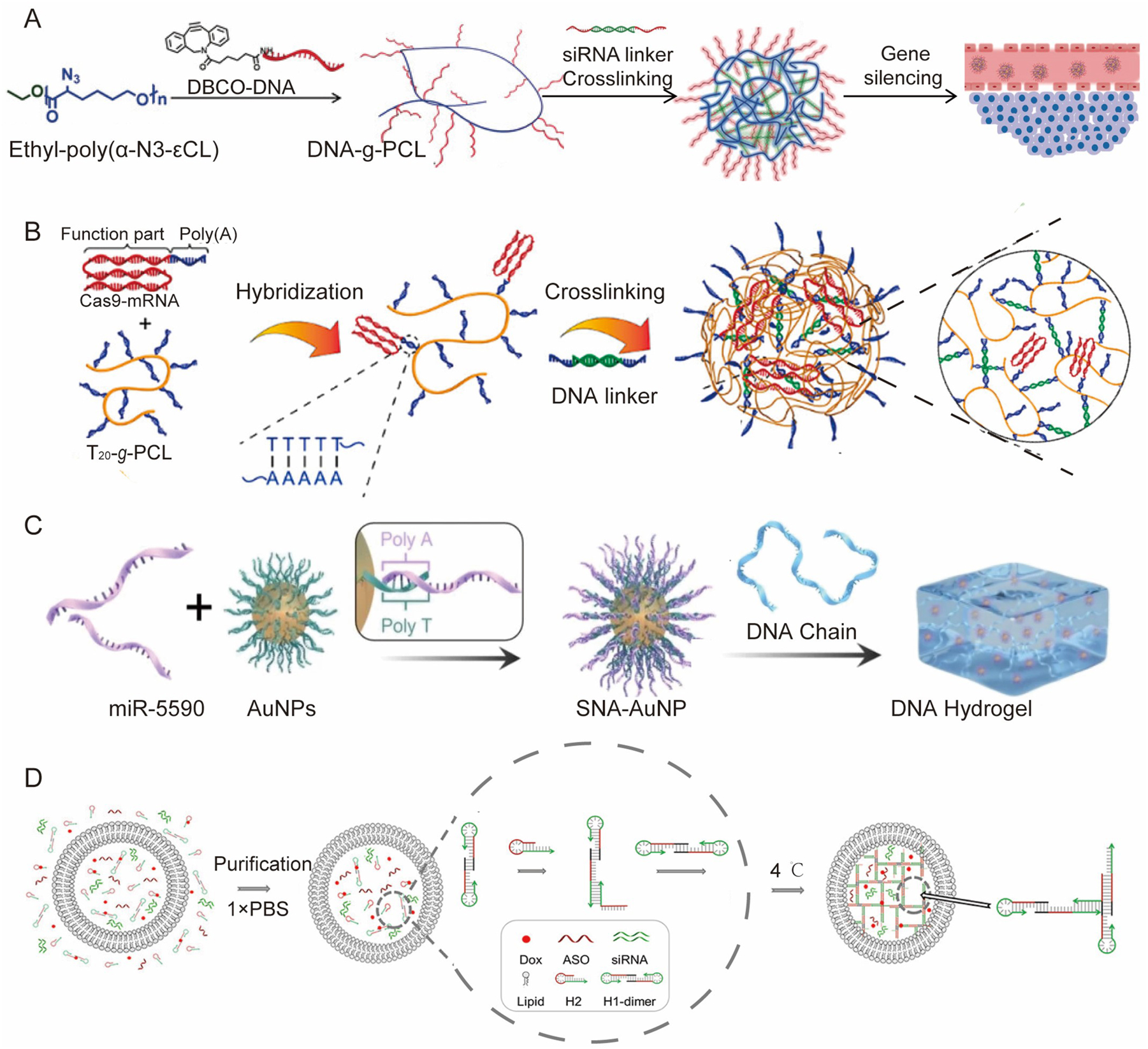 DNA-based nanostructures for RNA delivery