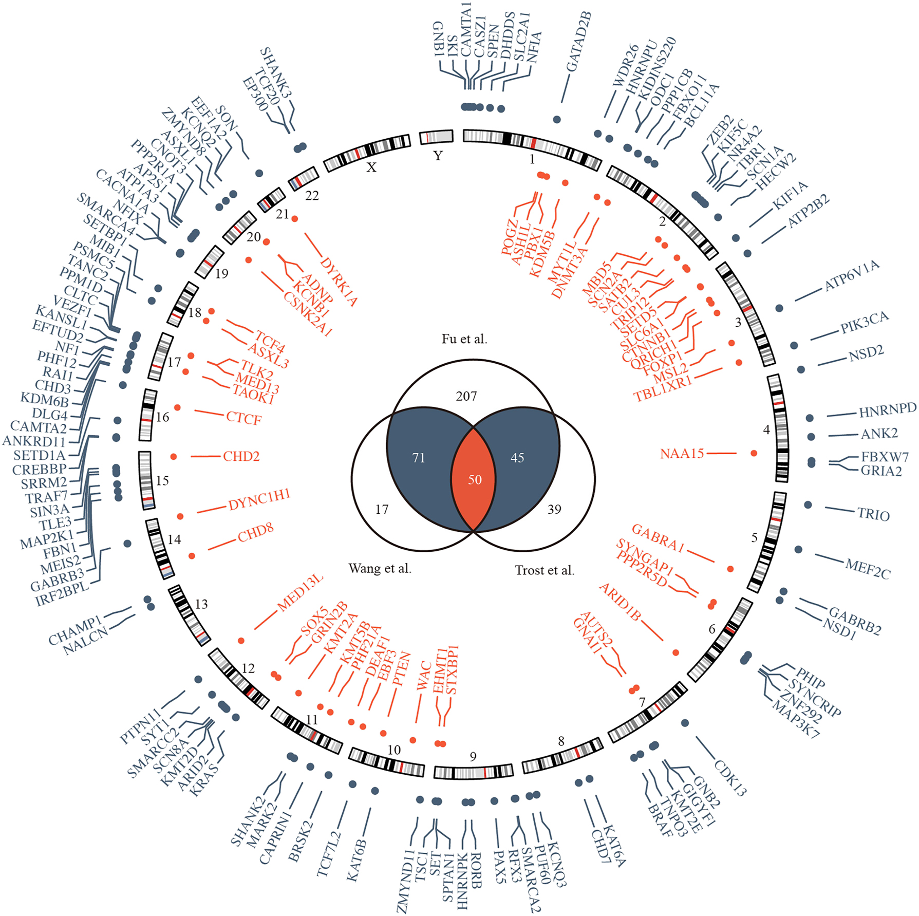 Genetic advances in neurodevelopmental disorders