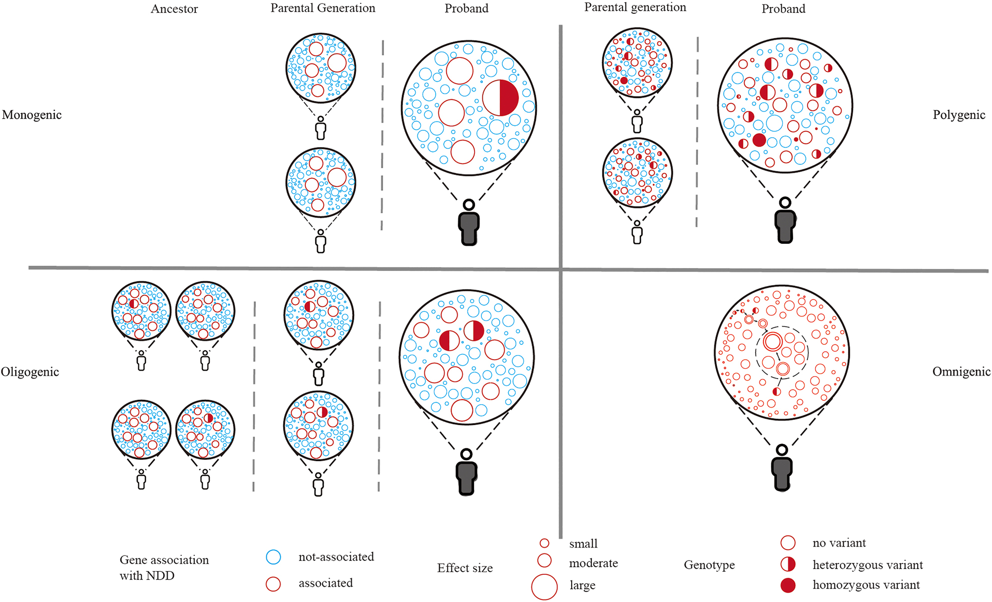 Genetic advances in neurodevelopmental disorders
