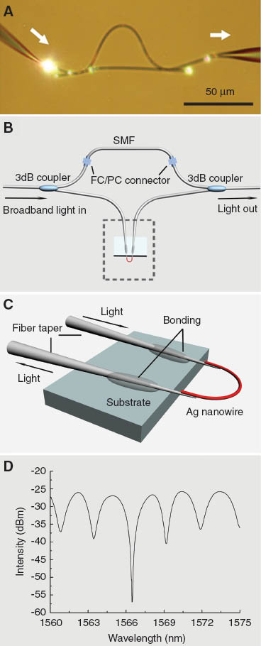Optical microfibers and nanofibers