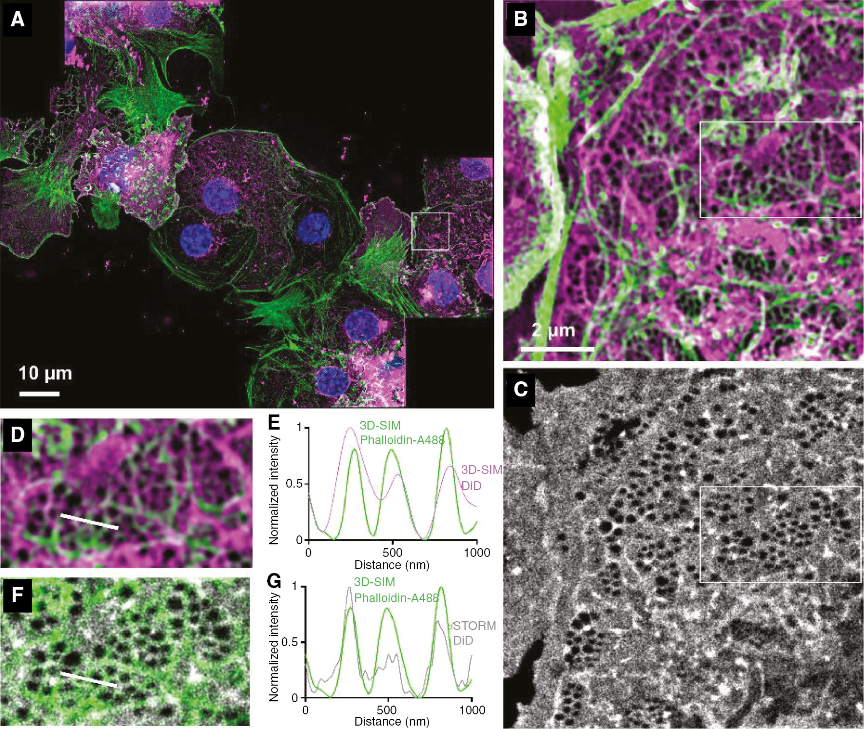 New ways of looking at very small holes – using optical nanoscopy to ...
