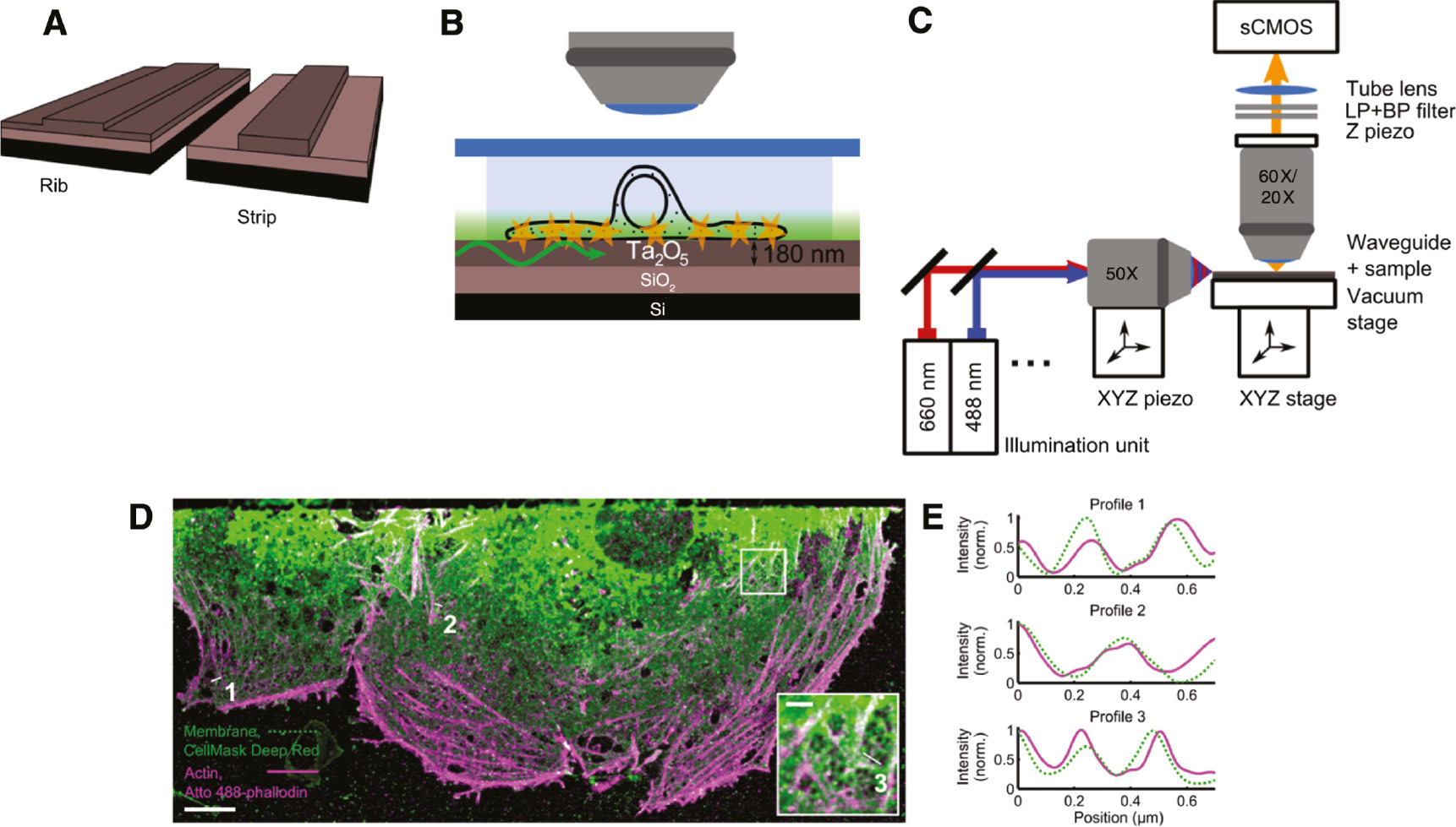 New ways of looking at very small holes – using optical nanoscopy to ...
