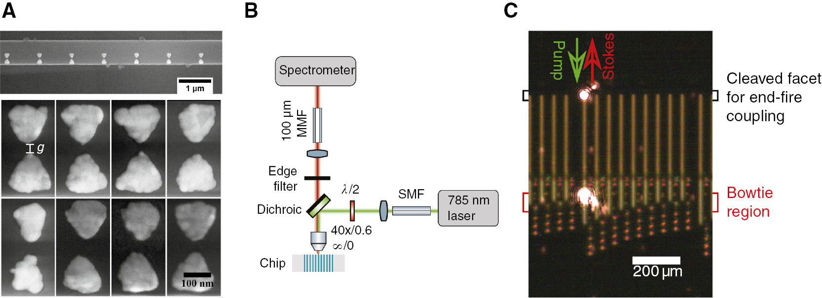Waveguide excitation and collection of surface-enhanced Raman ...