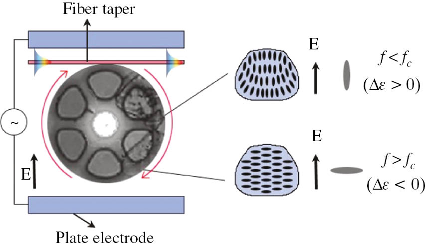 Electrically tuned whispering gallery modes microresonato...