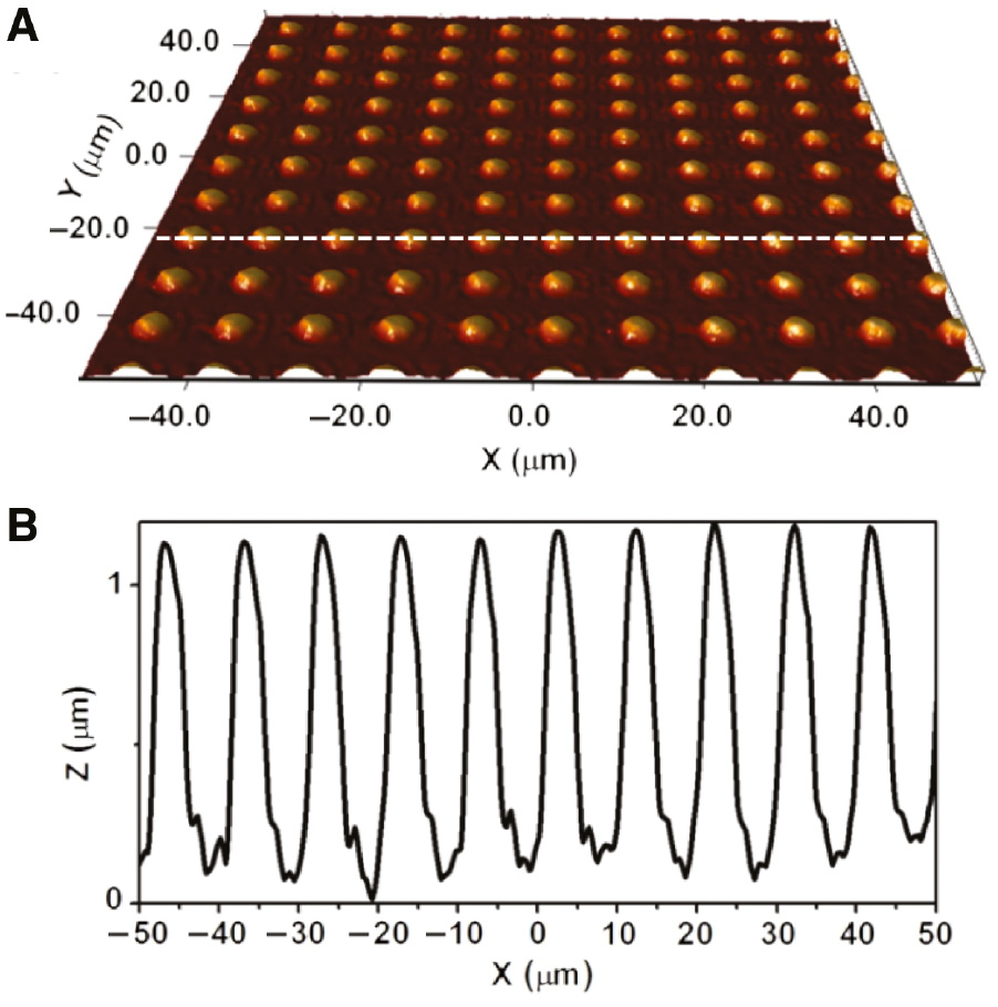 Optically processed microlens array for single-beam lithography of ...