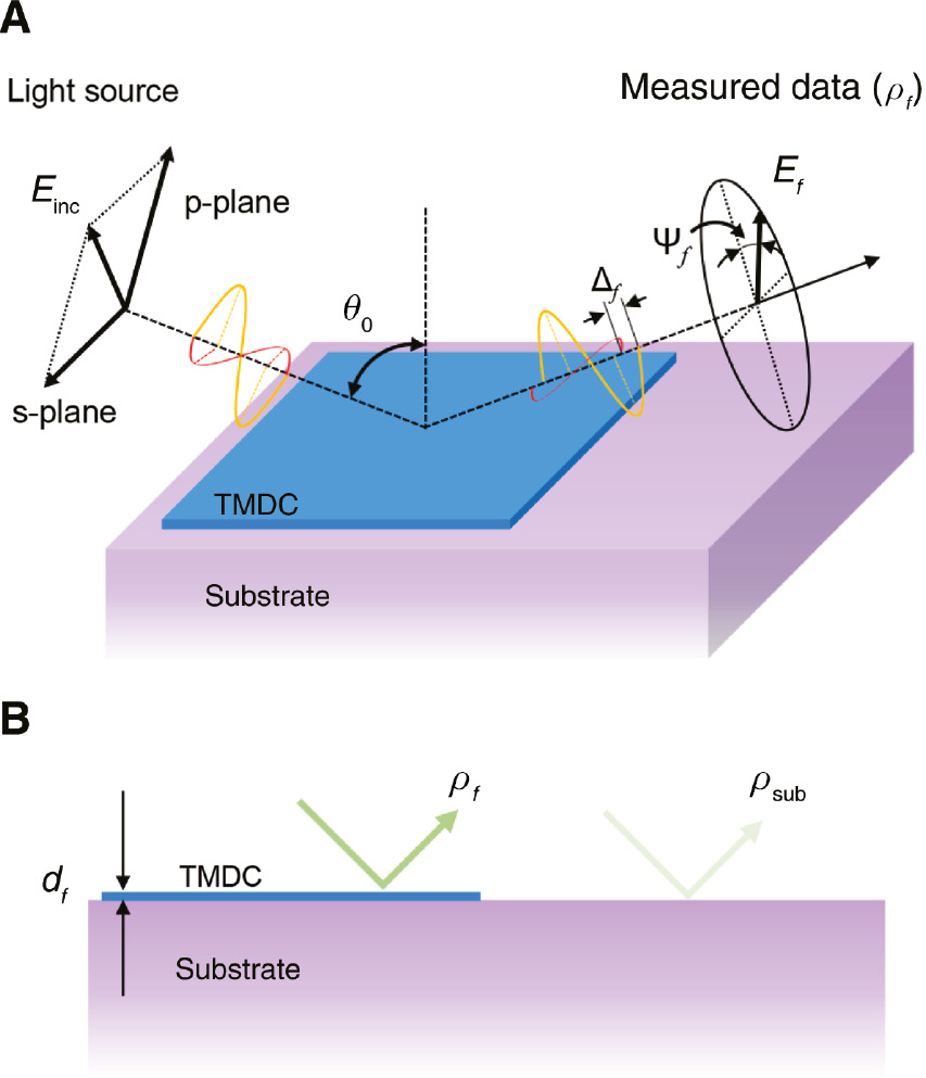 Measuring the optical permittivity of two-dimensional materials without ...