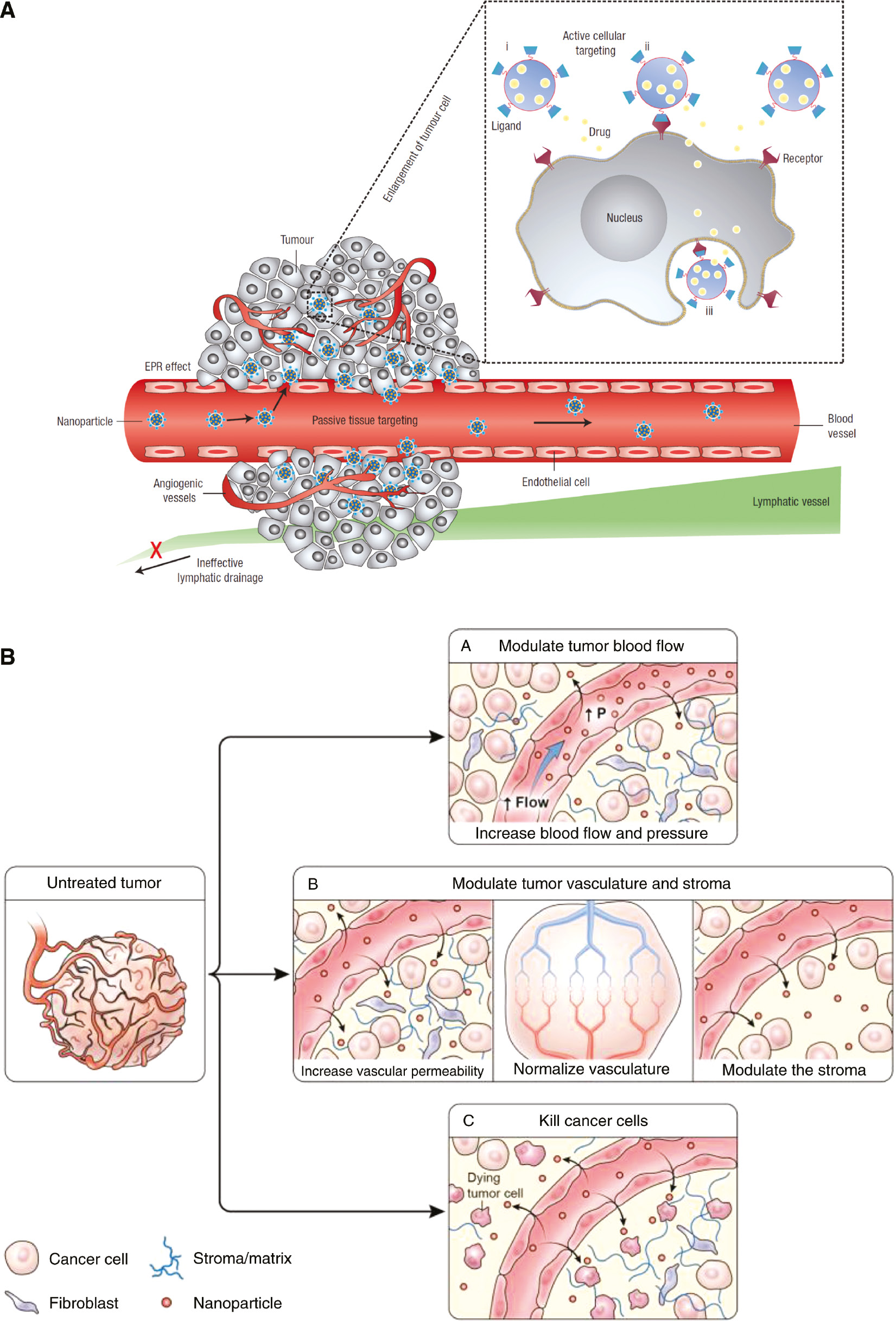 Enhanced nanodrug delivery in tumors after near-infrared ...