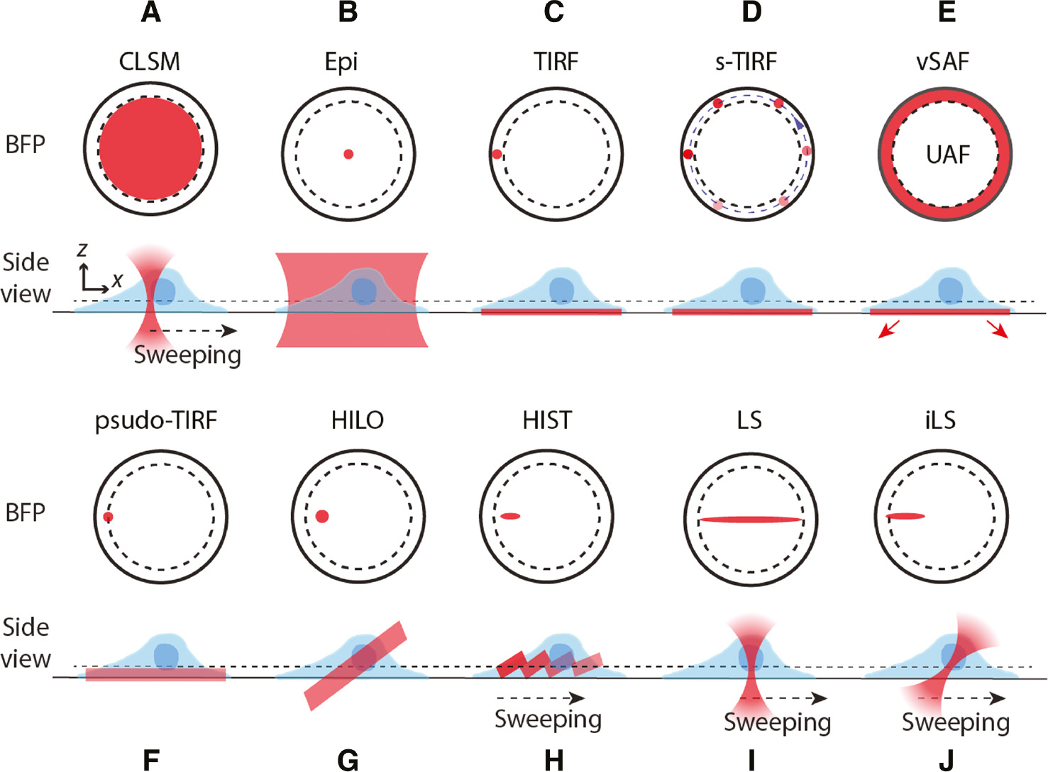 Fluorescence imaging with tailored light