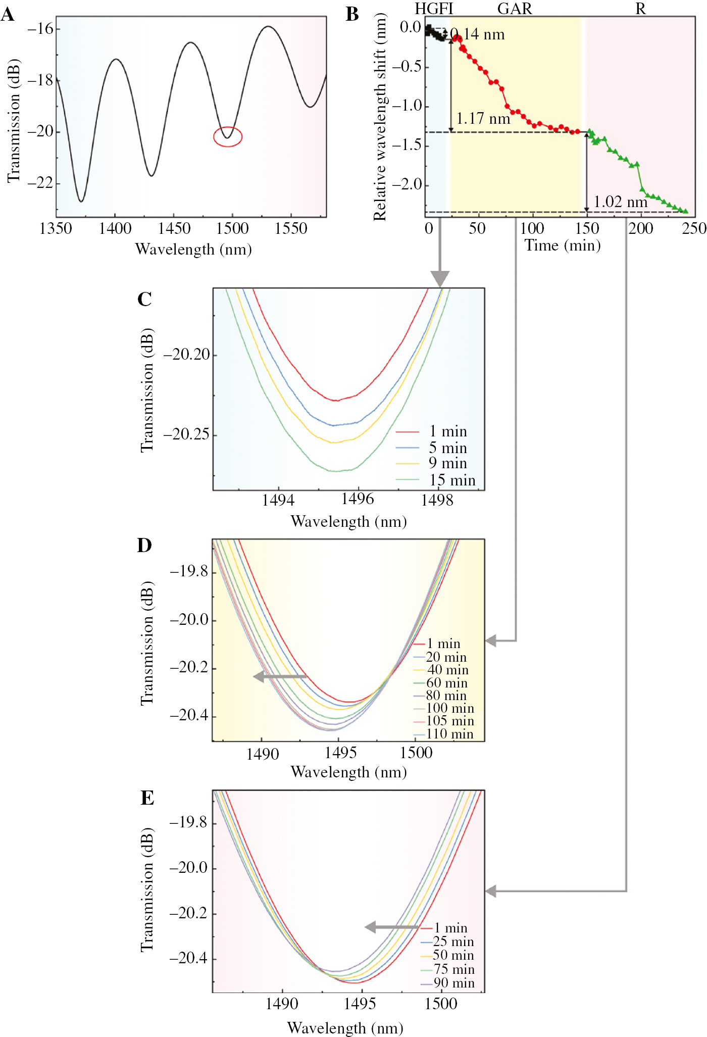 Hydrophobin HGFI–based fibre-optic biosensor for detection of antigen ...