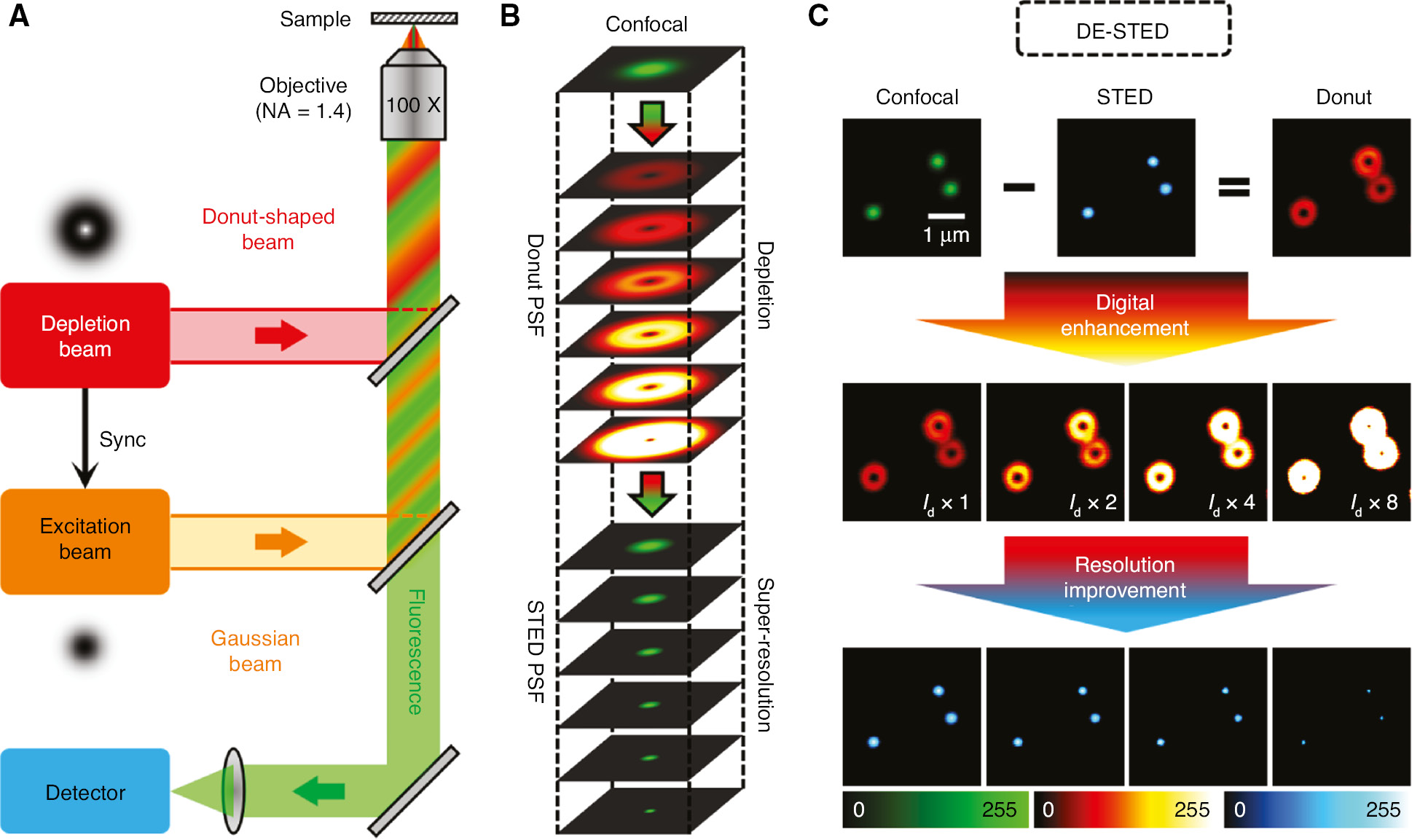 Ultralow power demand in fluorescence nanoscopy with digitally enhanced ...