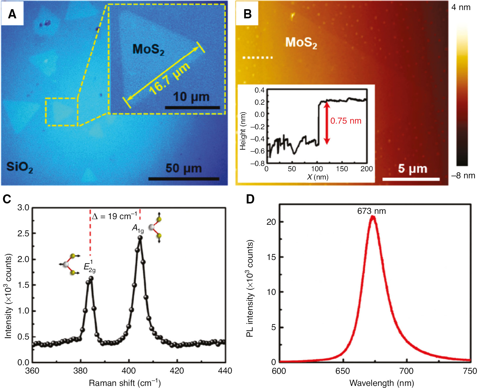 Monolayer MoS2 for nanoscale photonics