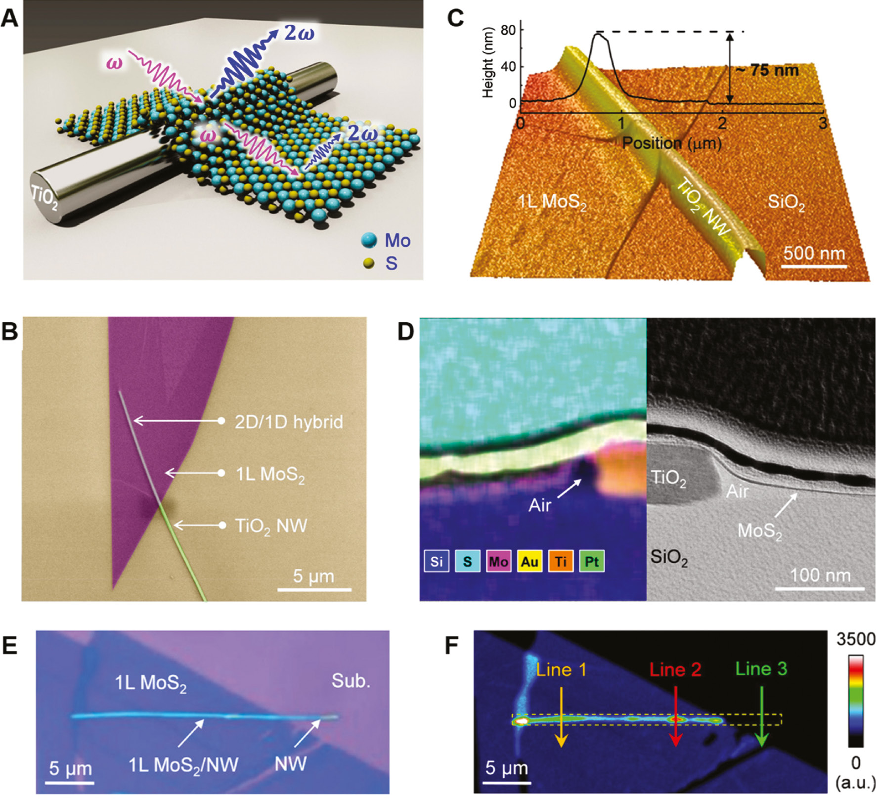 Monolayer MoS2 for nanoscale photonics