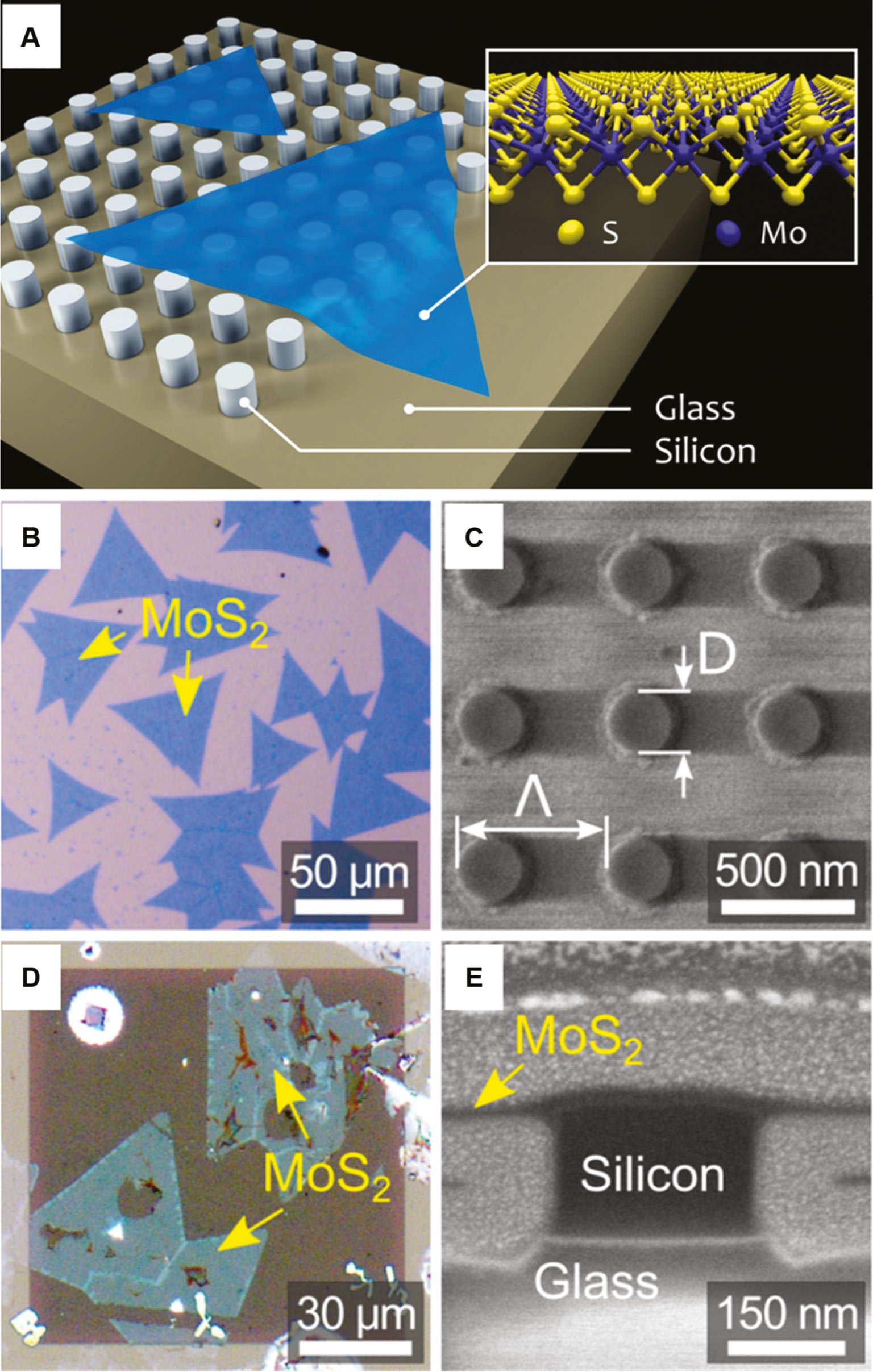 Monolayer MoS2 for nanoscale photonics
