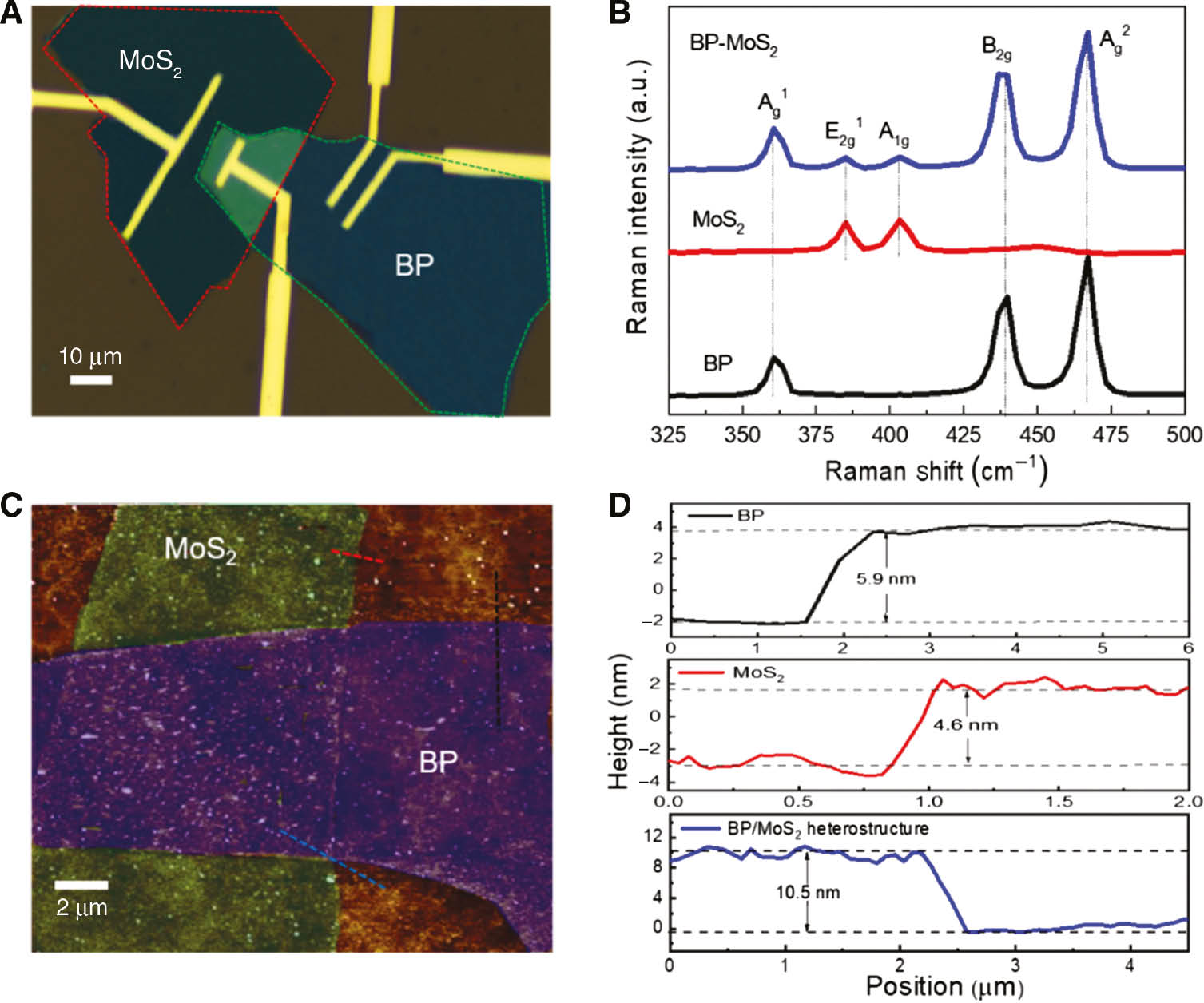 Multifunctional black phosphorus/MoS2 van der Waals heter...
