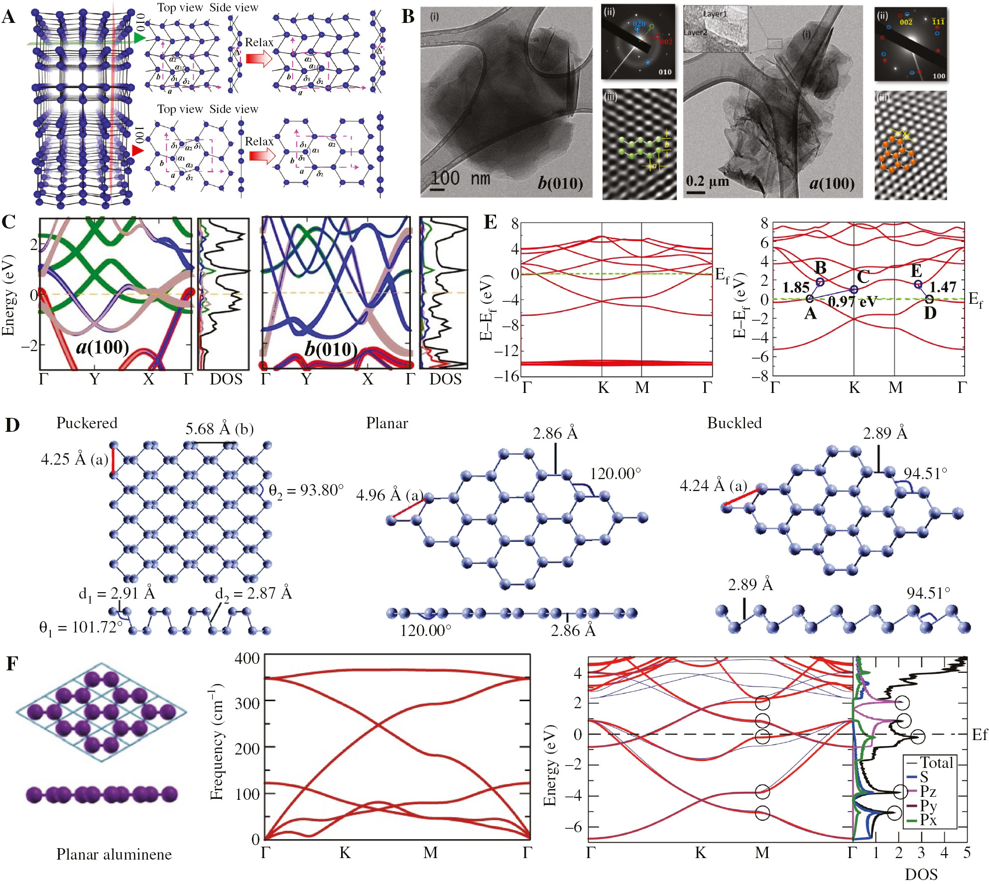 Advances in photonics of recently developed Xenes