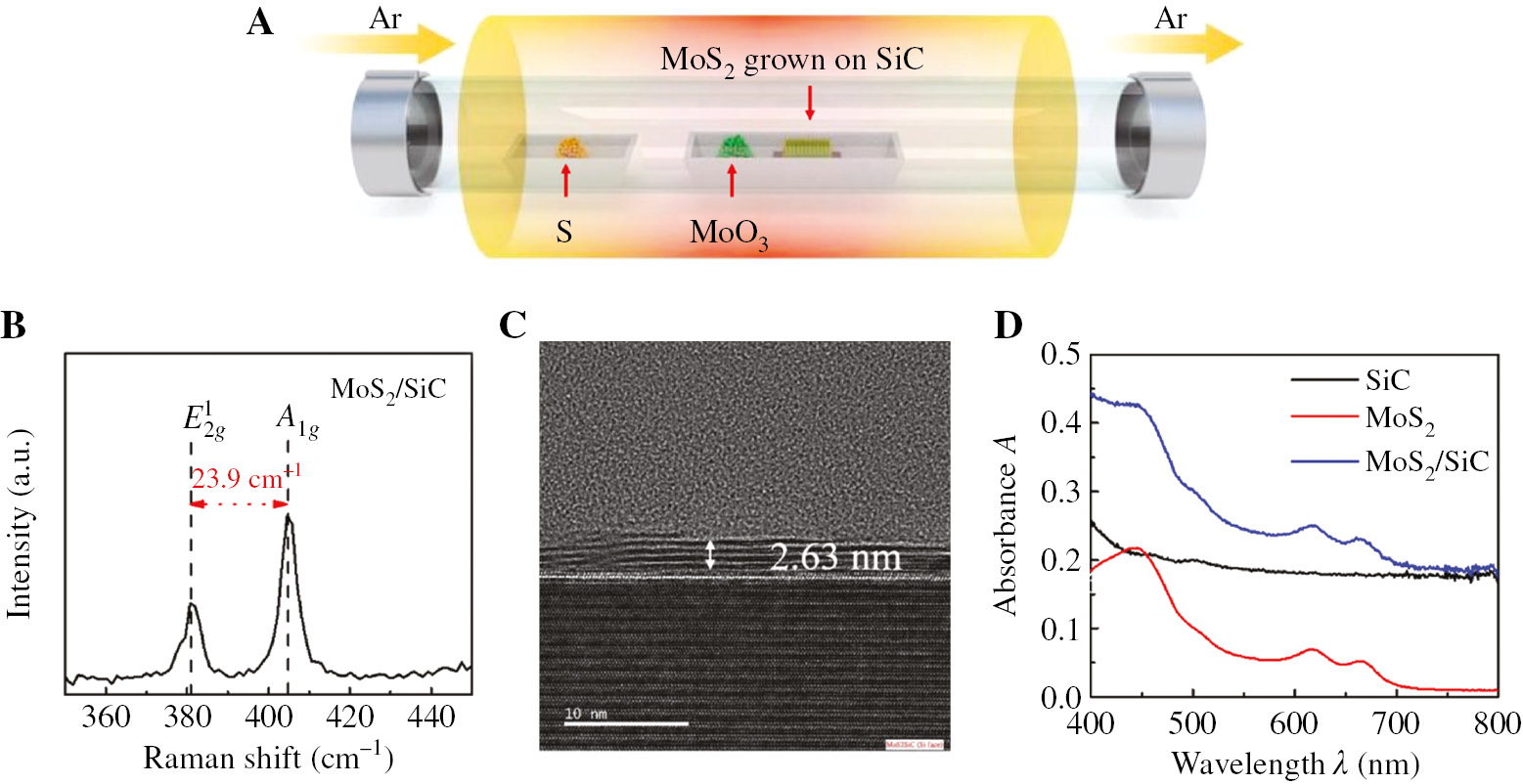 Facile integration of MoS2/SiC photodetector by direct chemical vapor deposition
