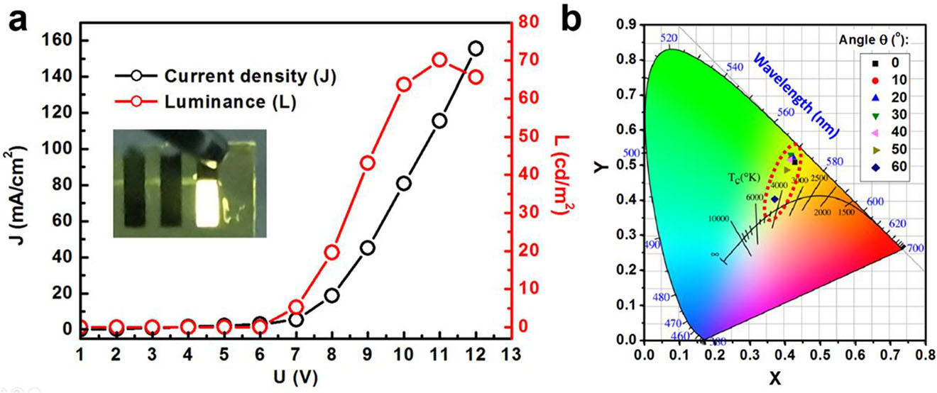 End-emitting nano organic light emitting diodes (OLEDs) with ...