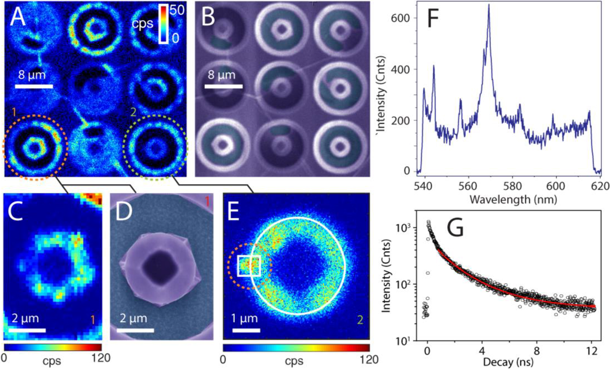 Microcavity-coupled emitters in hexagonal boron nitride