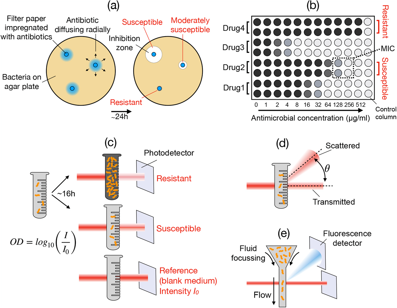 Nanophotonics for bacterial detection and antimicrobial susceptibility ...