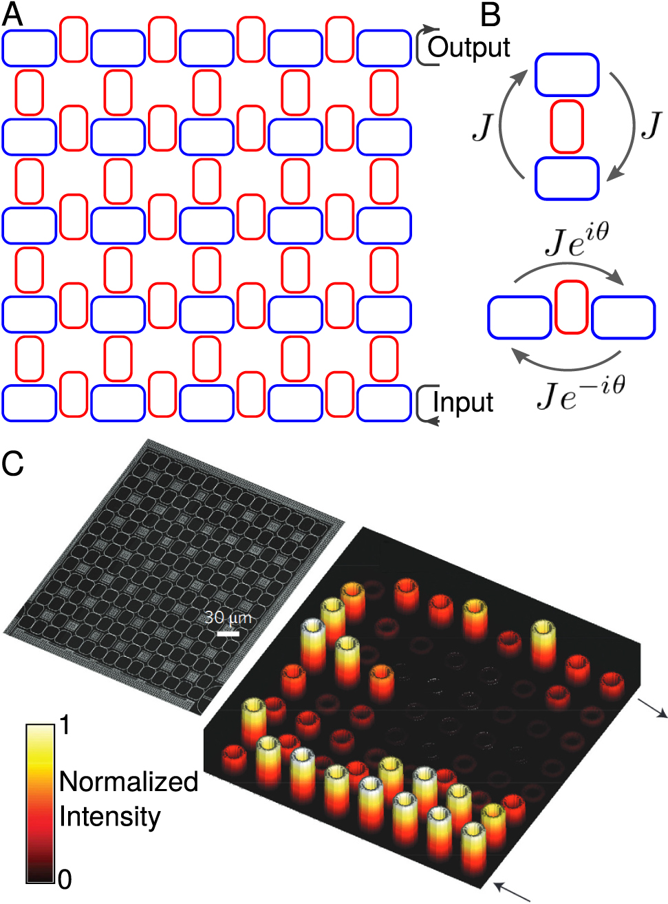 Topological phases in ring resonators: recent progress and future prospects