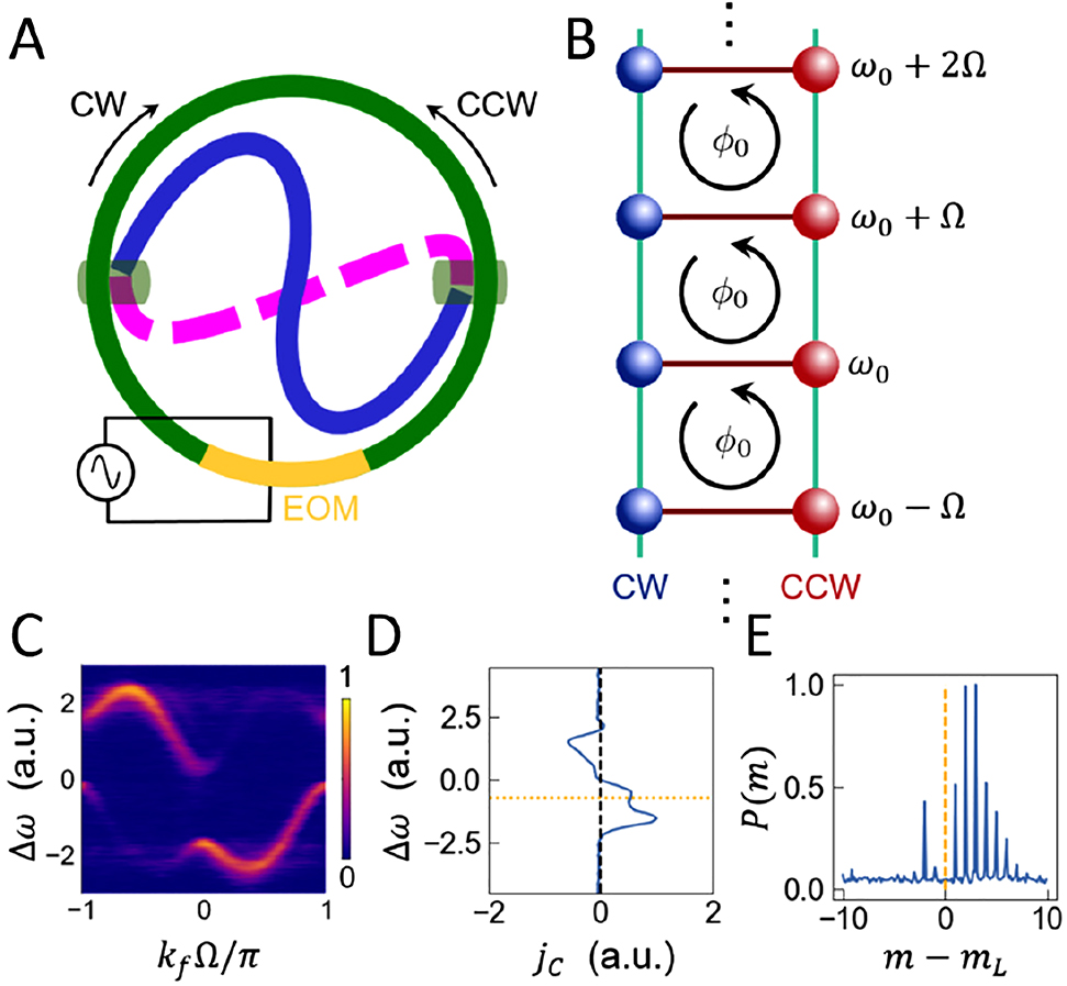Topological phases in ring resonators: recent progress and future prospects
