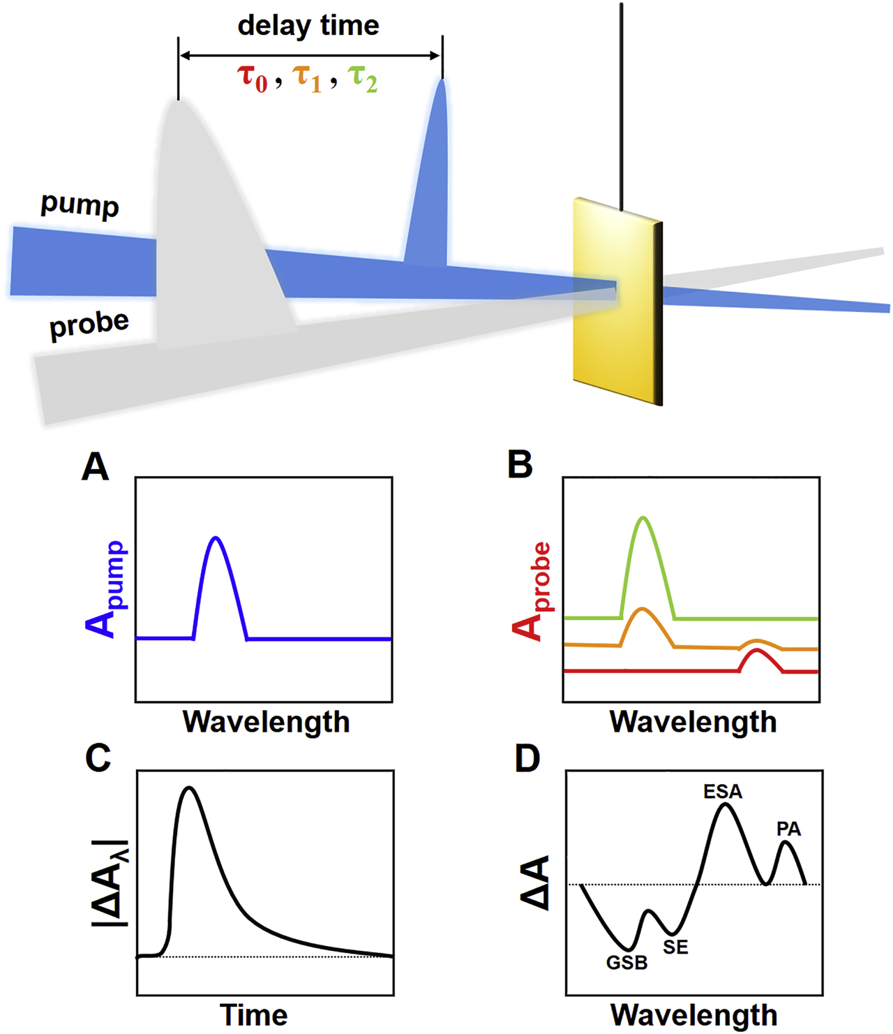 In situ charge carrier dynamics of semiconductor nanostructures for ...
