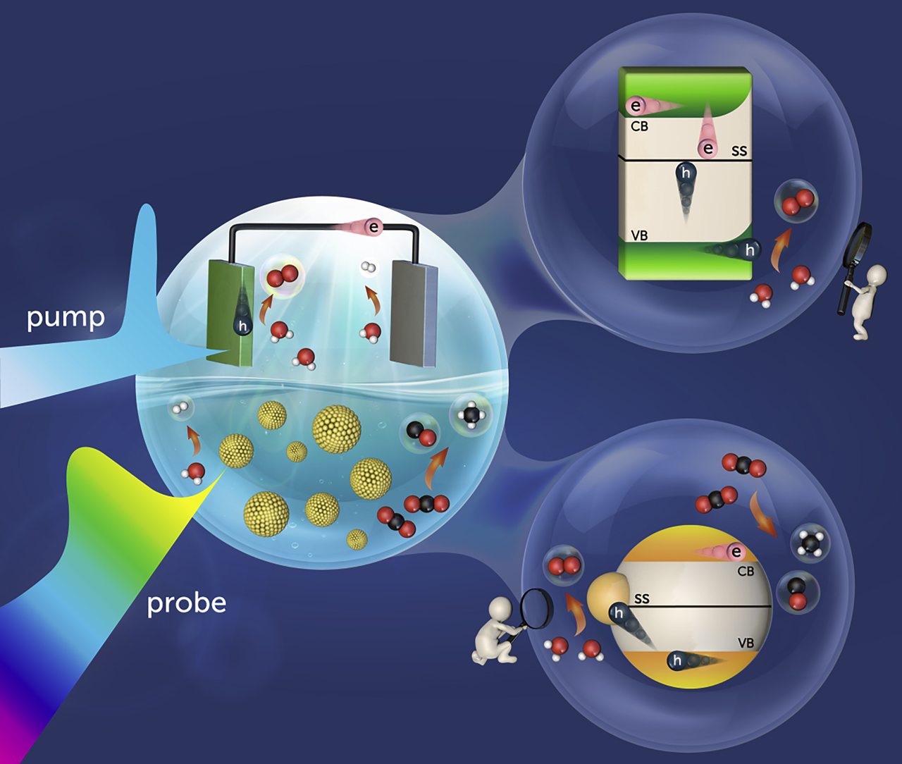 In situ charge carrier dynamics of semiconductor nanostructures for ...