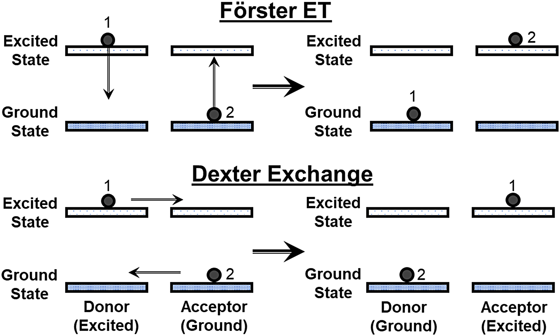 Temporally modulated energy shuffling in highly interconnected nanosystems
