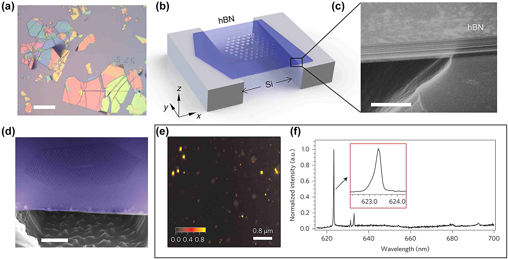Quantum nanophotonic and nanoplasmonic sensing: towards quantum optical ...