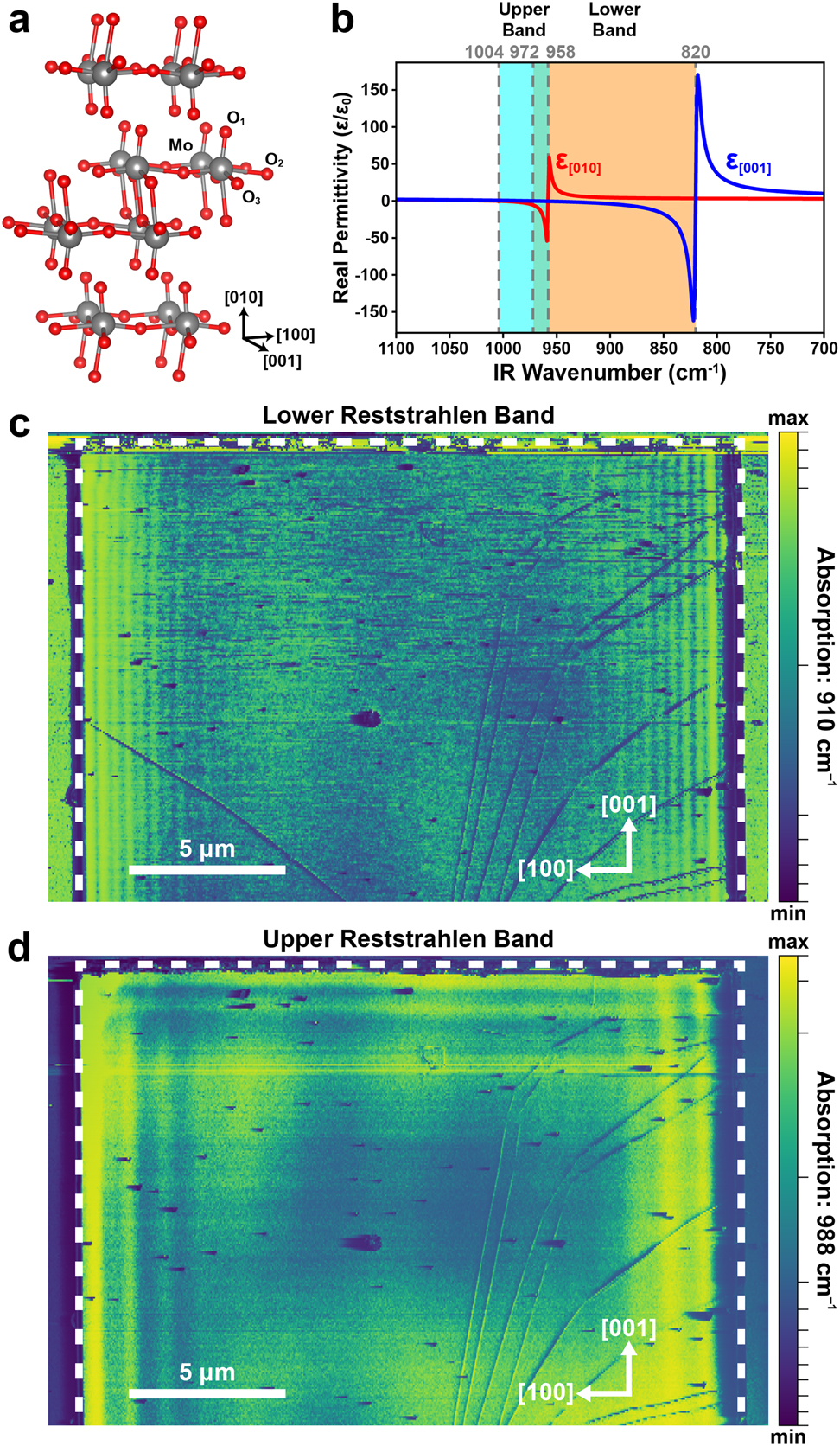 Substrate-mediated hyperbolic phonon polaritons in MoO3