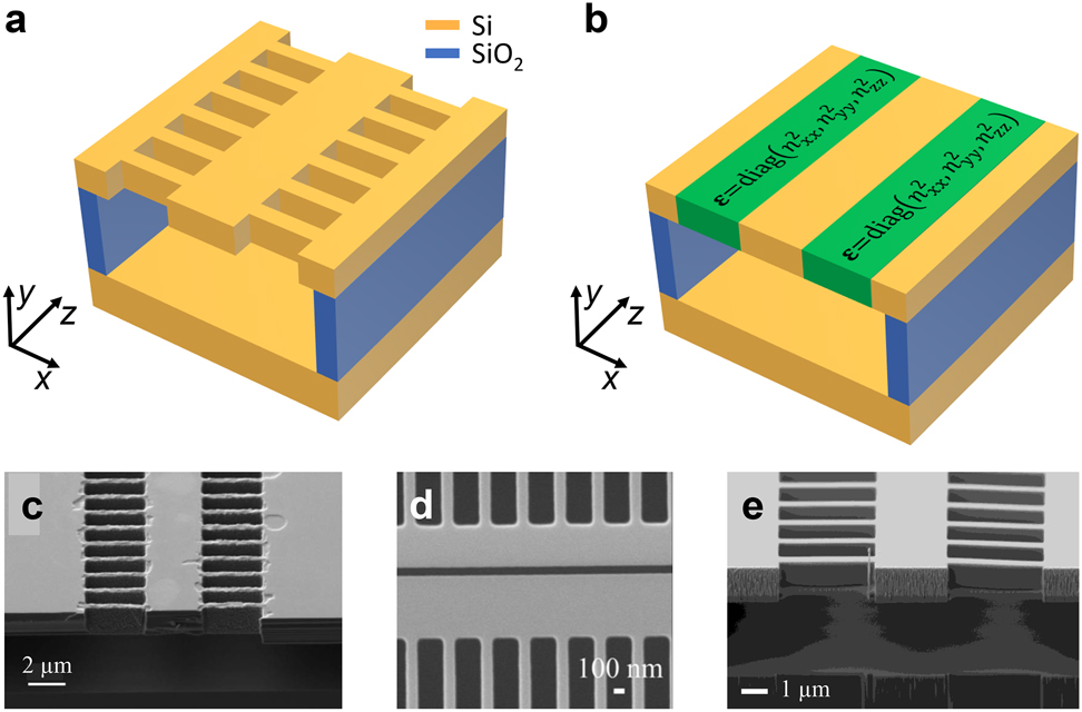 A review of silicon subwavelength gratings: building break-through ...