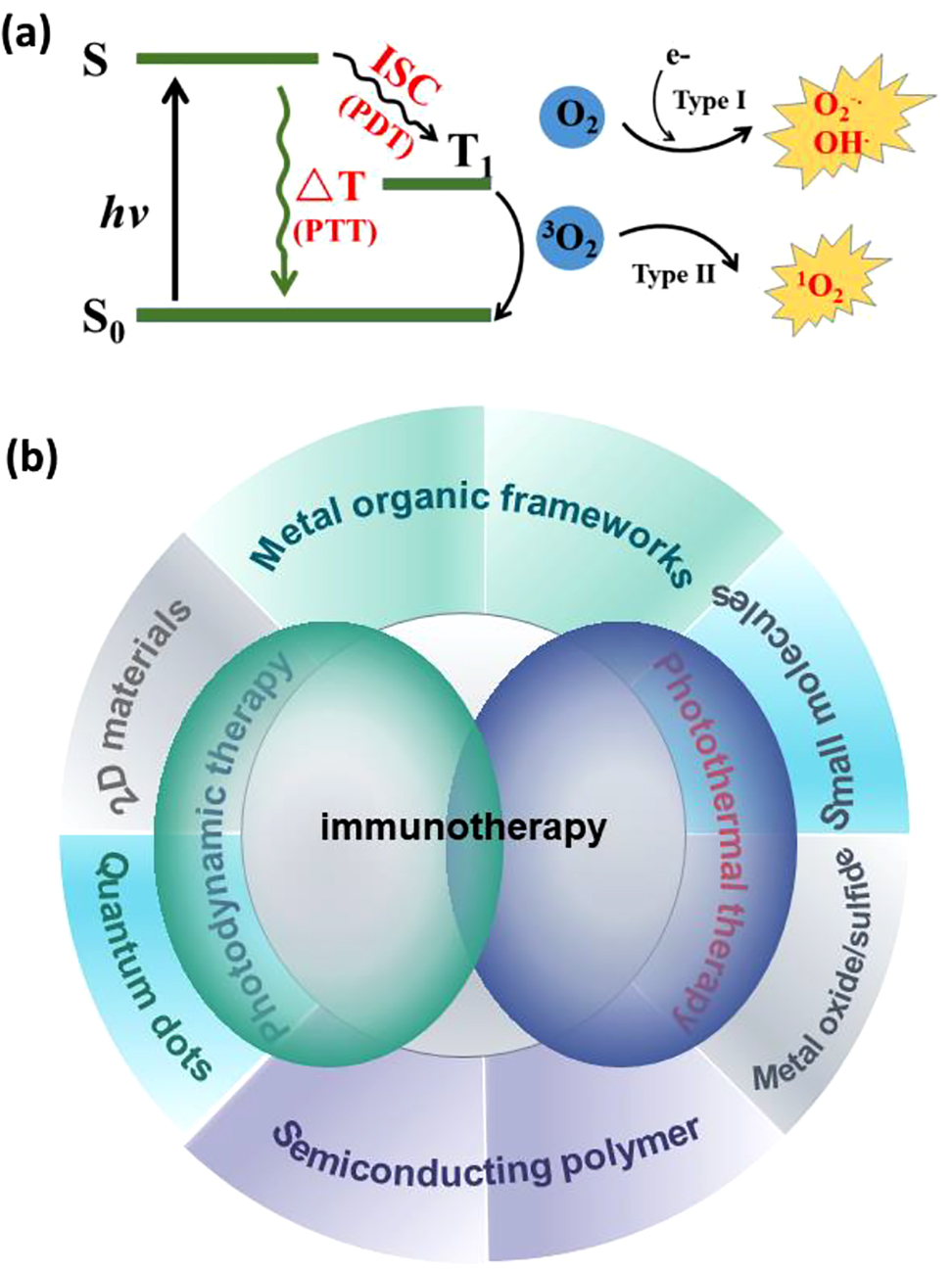 Phototherapy meets immunotherapy: a win–win strategy to f...