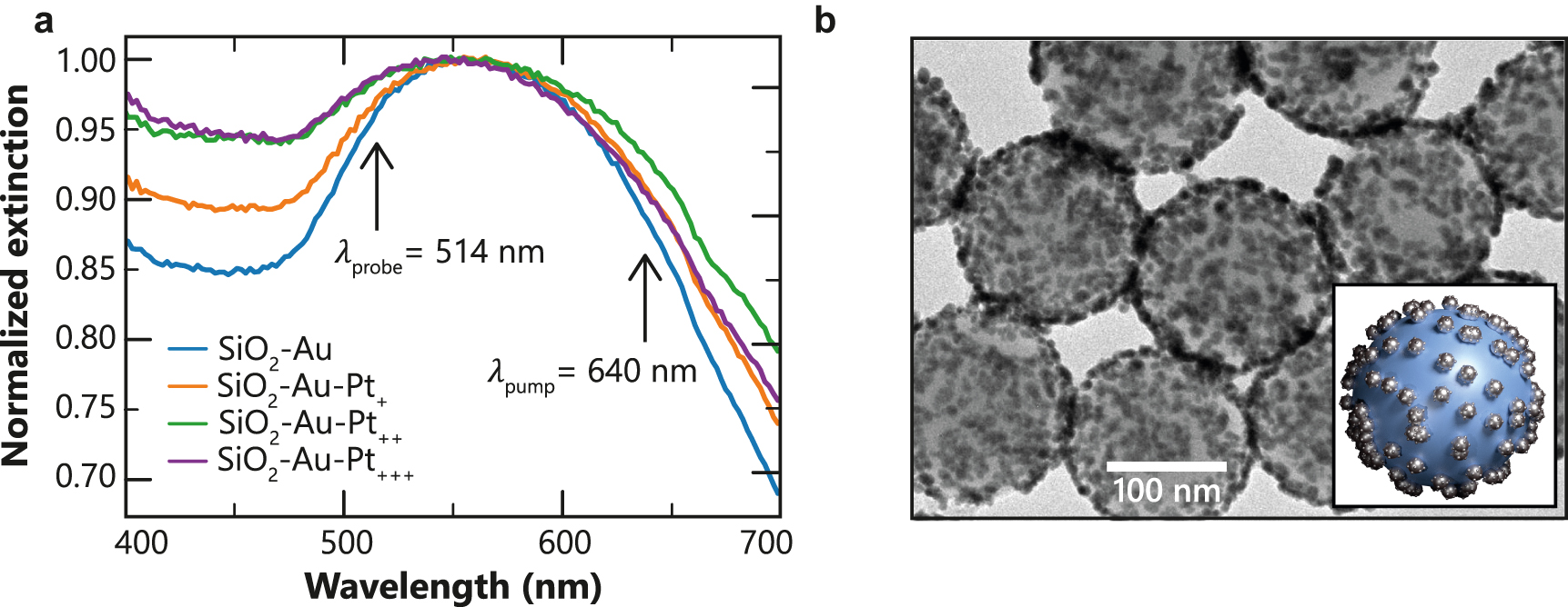 Dynamics of hot carriers in plasmonic heterostructures