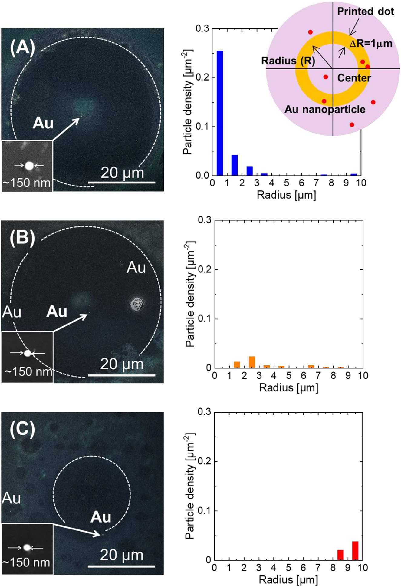 Generation of hexagonal close-packed ring-shaped structures using an ...