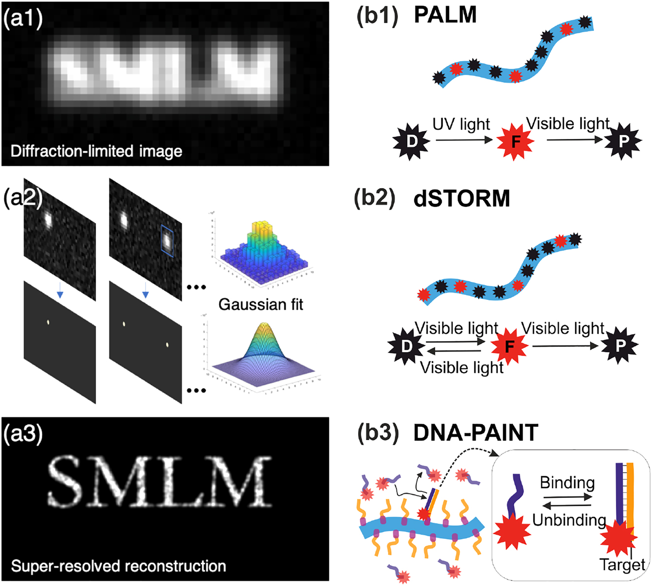 Super-resolution imaging: when biophysics meets nanophotonics
