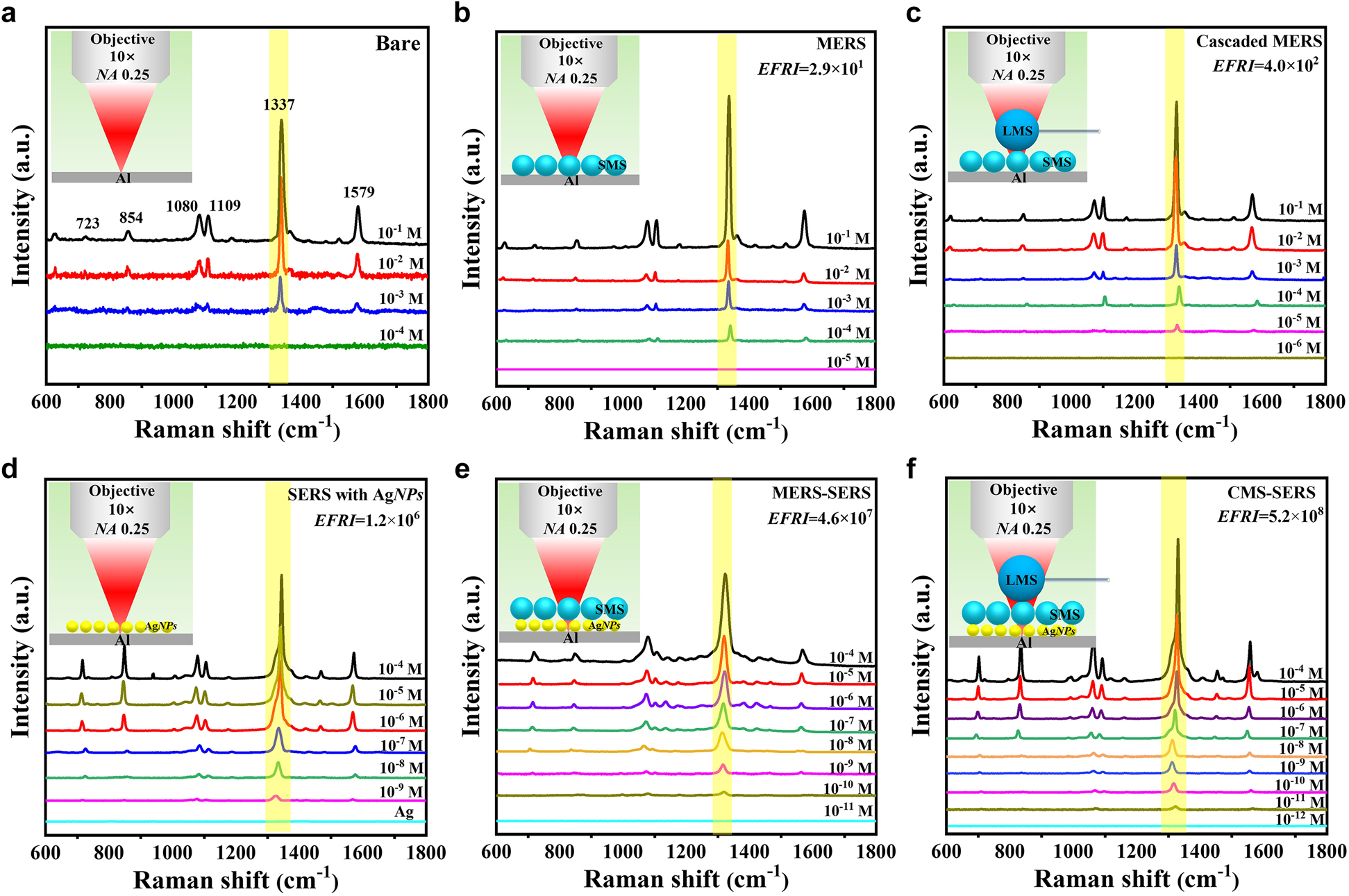Cascaded microsphere-coupled surface-enhanced Raman spectroscopy (CMS ...