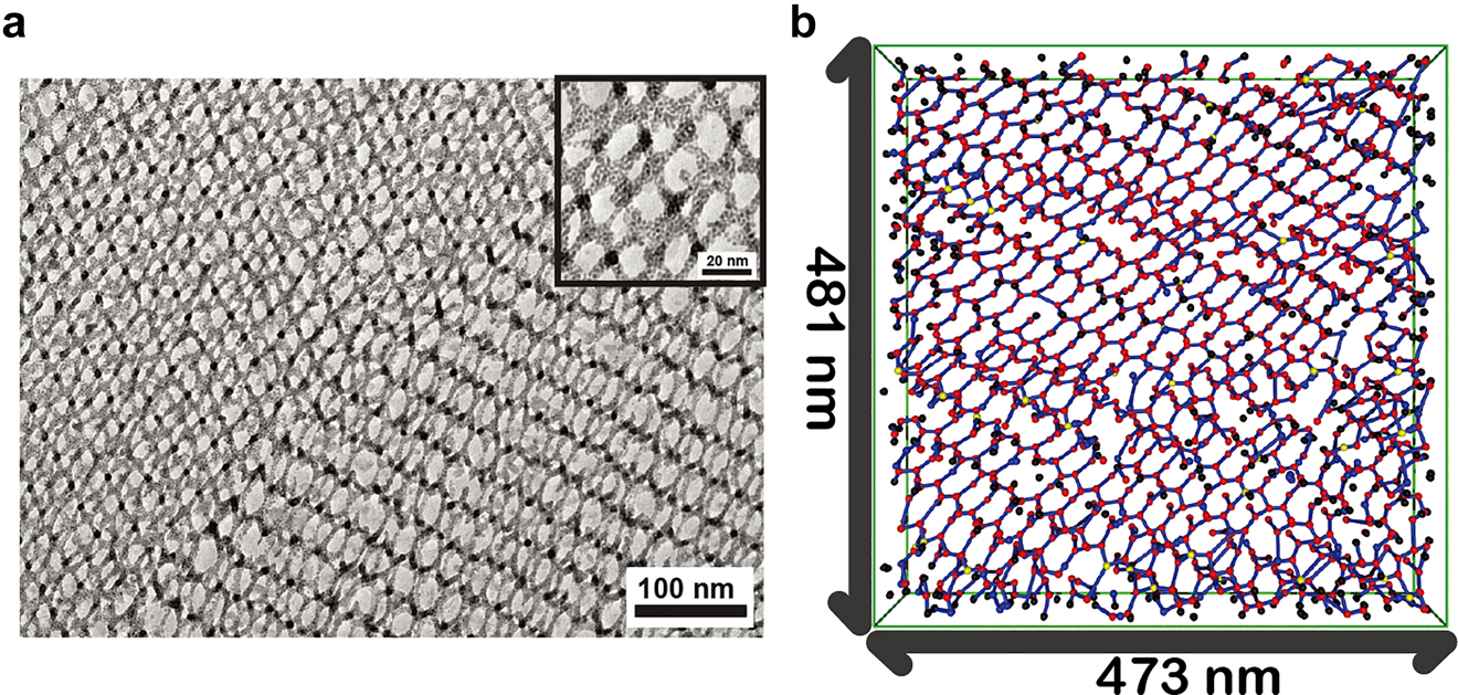 Block copolymer gyroids for nanophotonics: significance of lattice ...