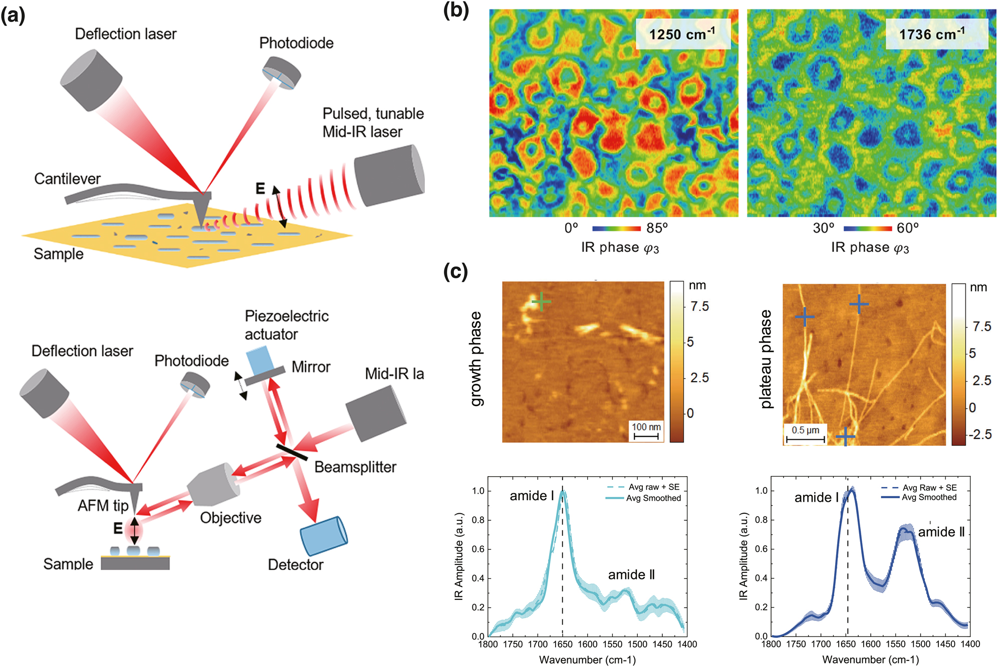 Nanostructure-enhanced infrared spectroscopy