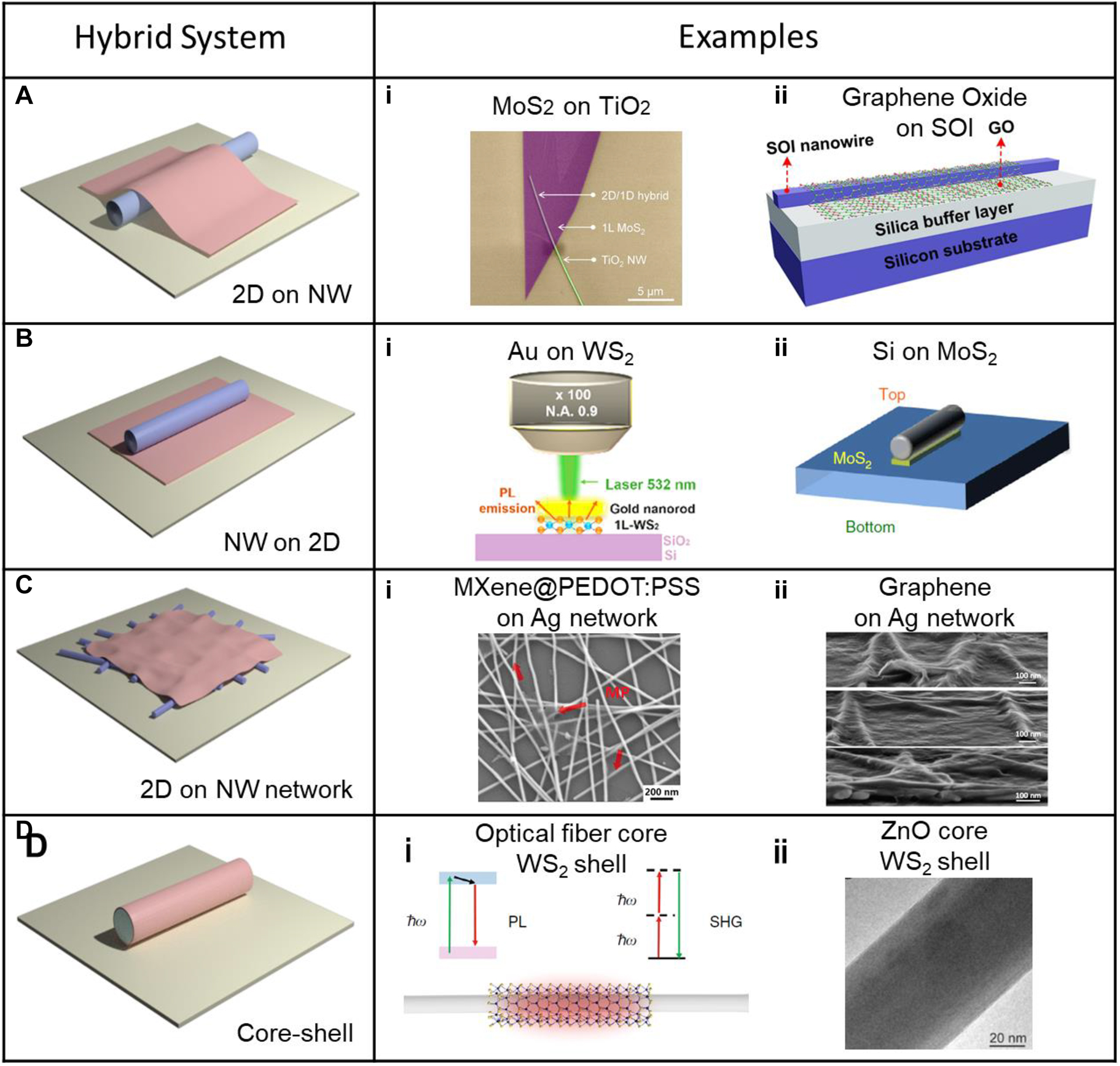 Nanowires for 2D material-based photonic and optoelectronic devices