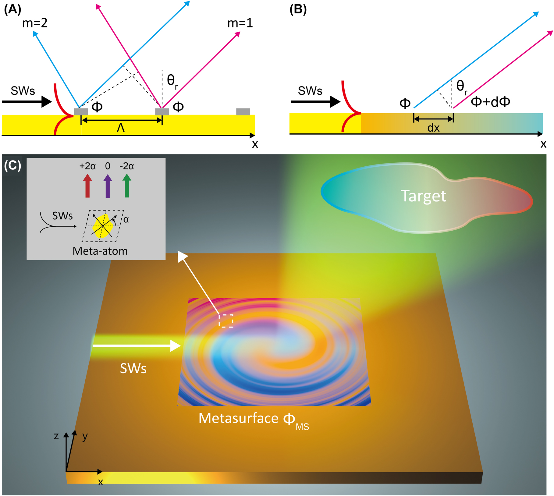 High-efficiency generation of far-field spin-polarized wavefronts via ...