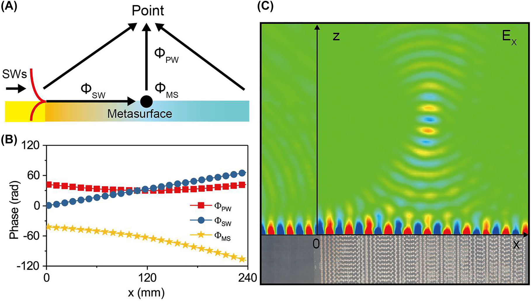 High-efficiency generation of far-field spin-polarized wavefronts via ...