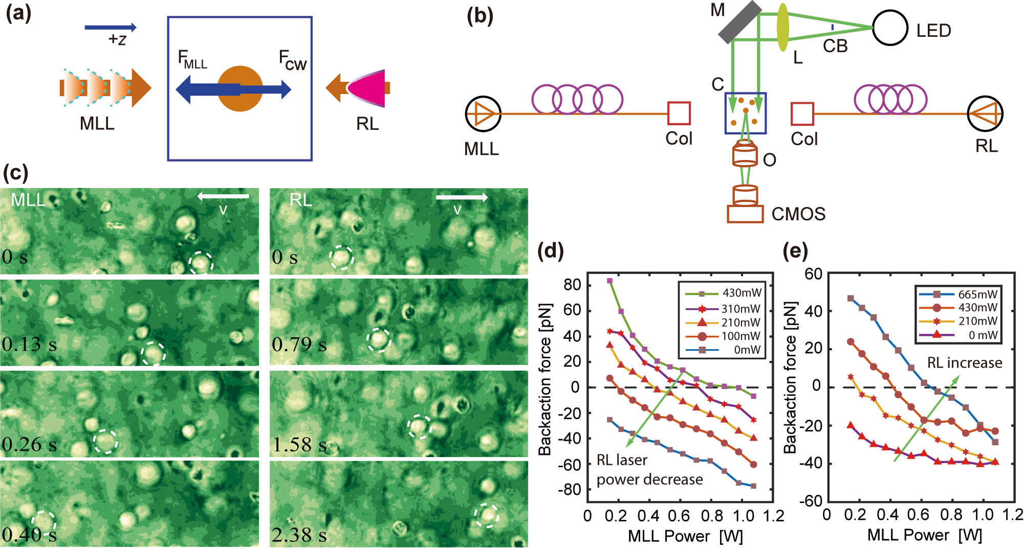 Hysteresis and balance of backaction force on dielectric particles ...